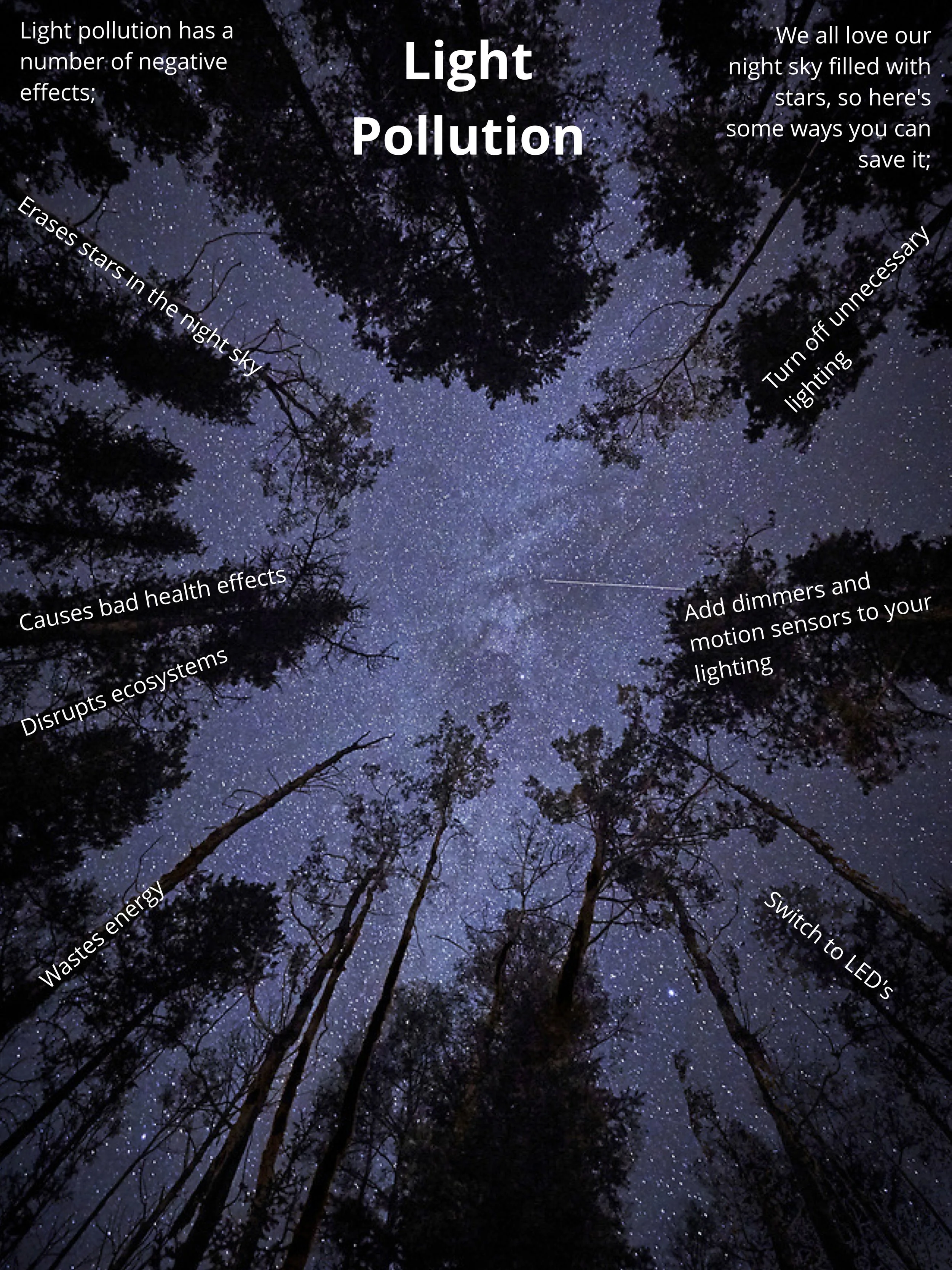 Poem About Light Pollution | Shelly Lighting