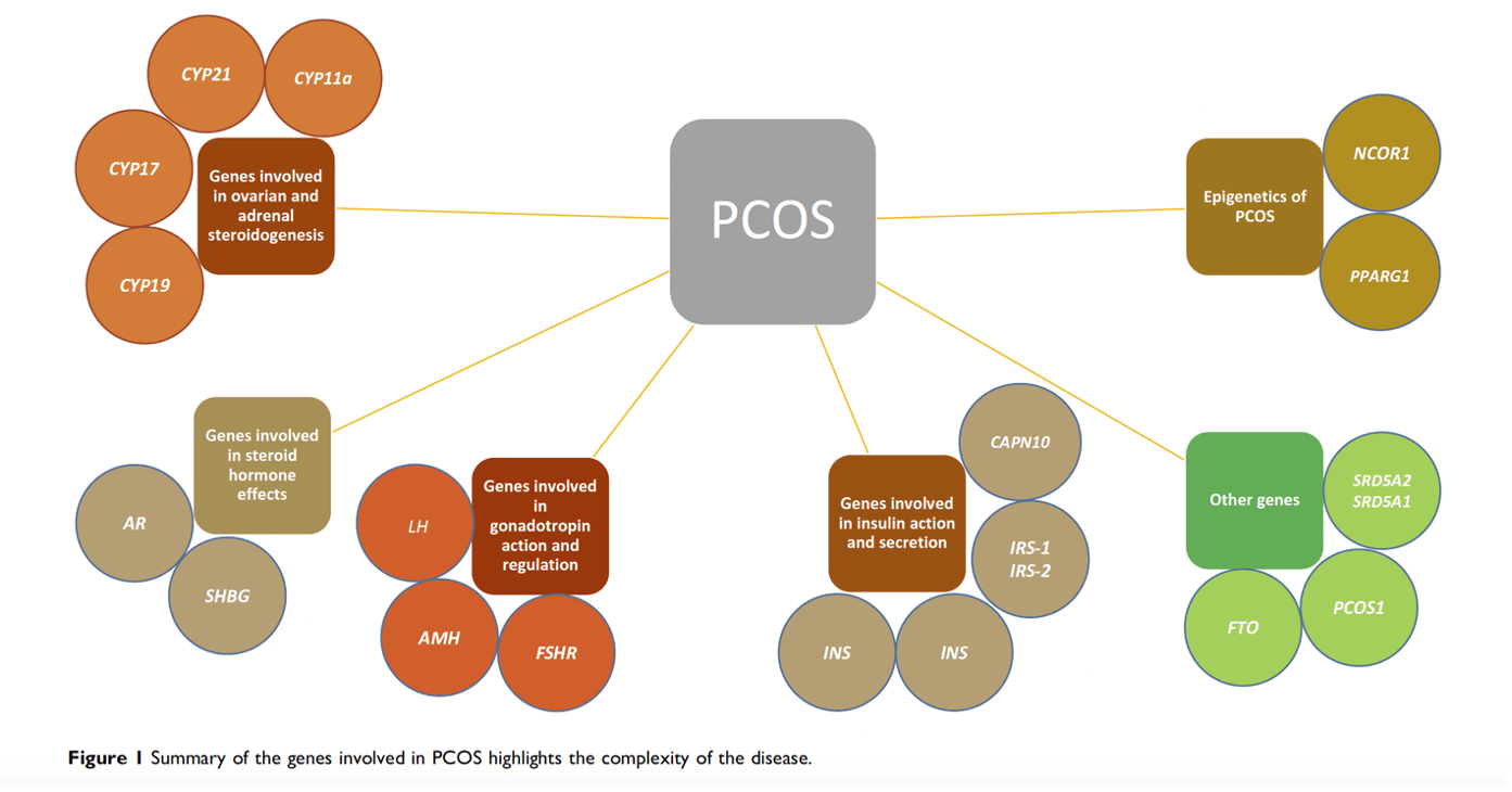 What is polycystic ovary syndrome (PCOS)? | Kathy Xydis