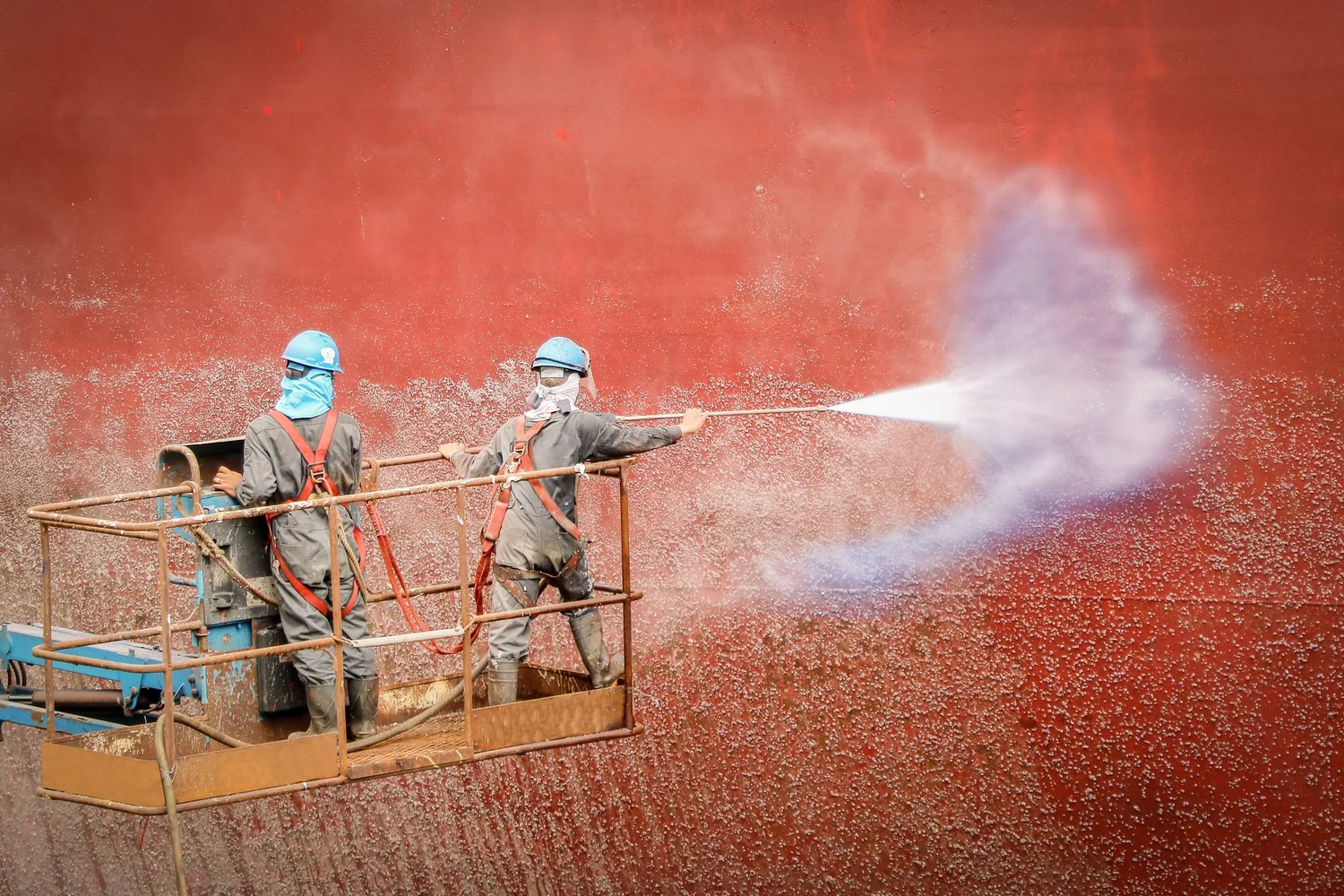 Biofouling - What is it and why should we care? — Wildlife & Welfare