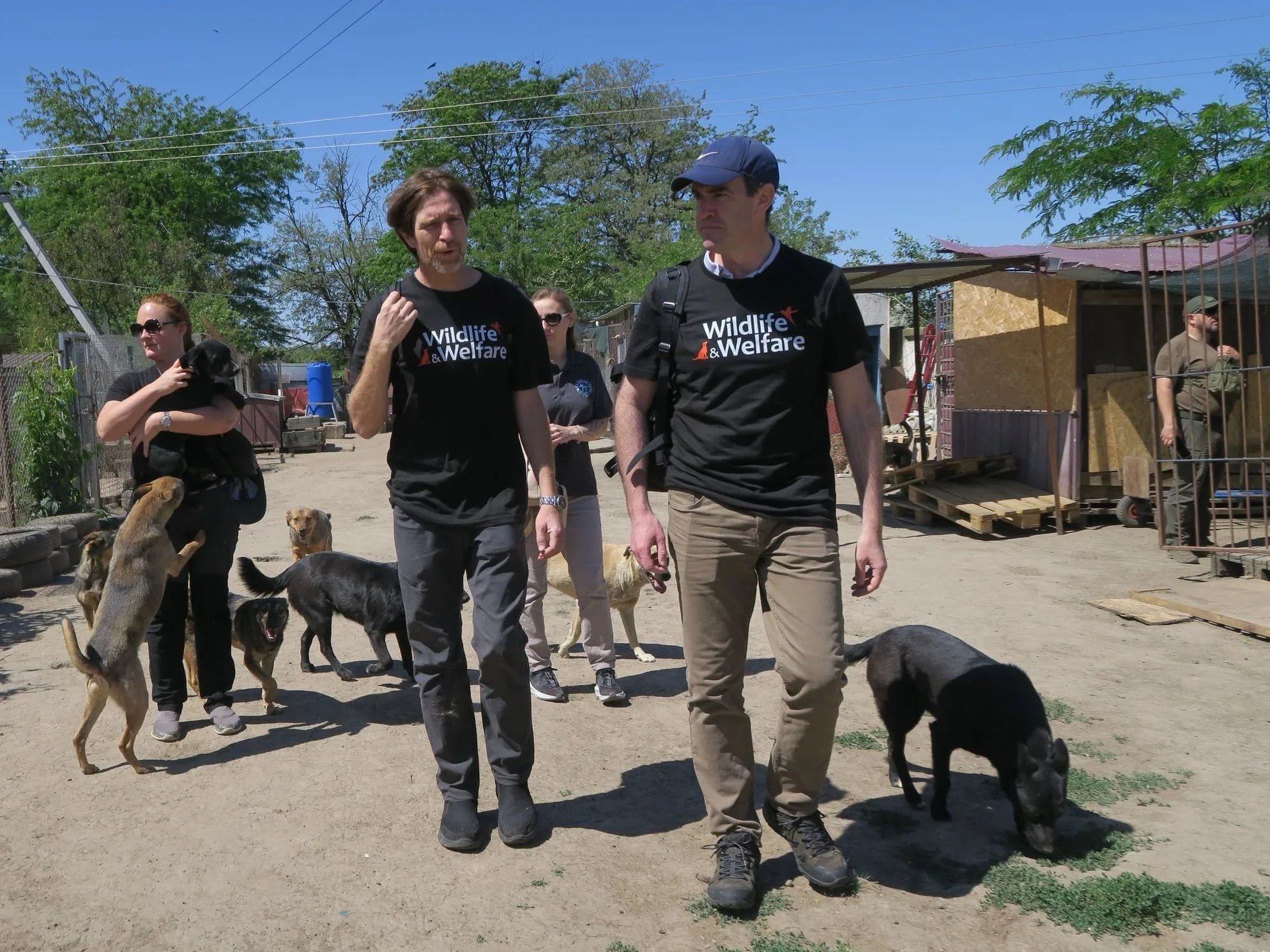 Ukraine Animal Aid Project — Wildlife & Welfare