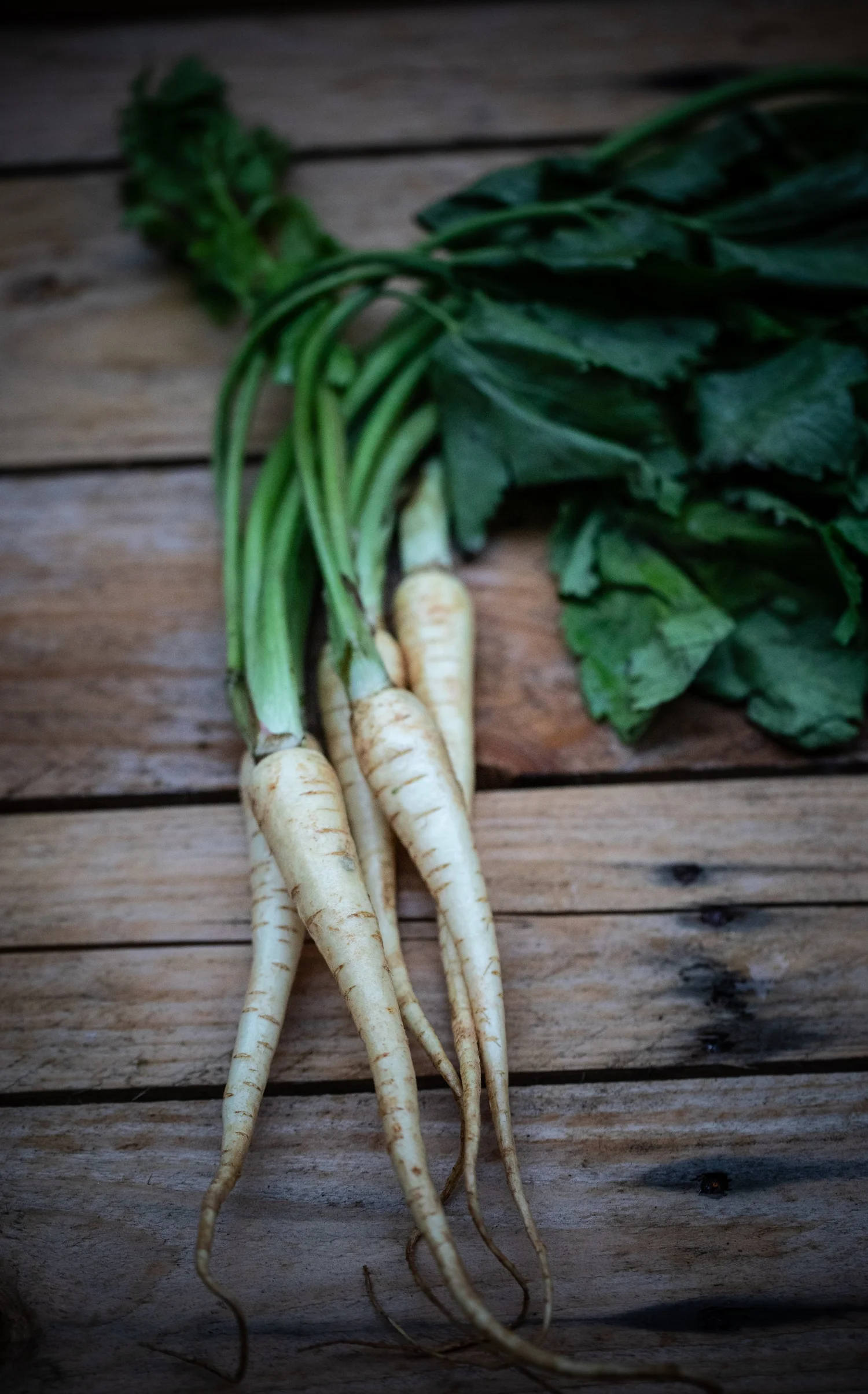 Farm Diary — Lumiere Restaurant