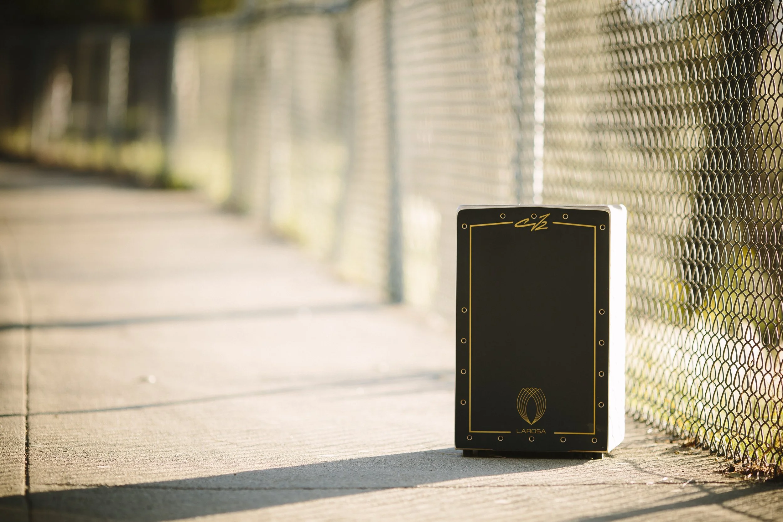 PlayCajon - Learn Cajon Step-by-Step Beginner to Advanced