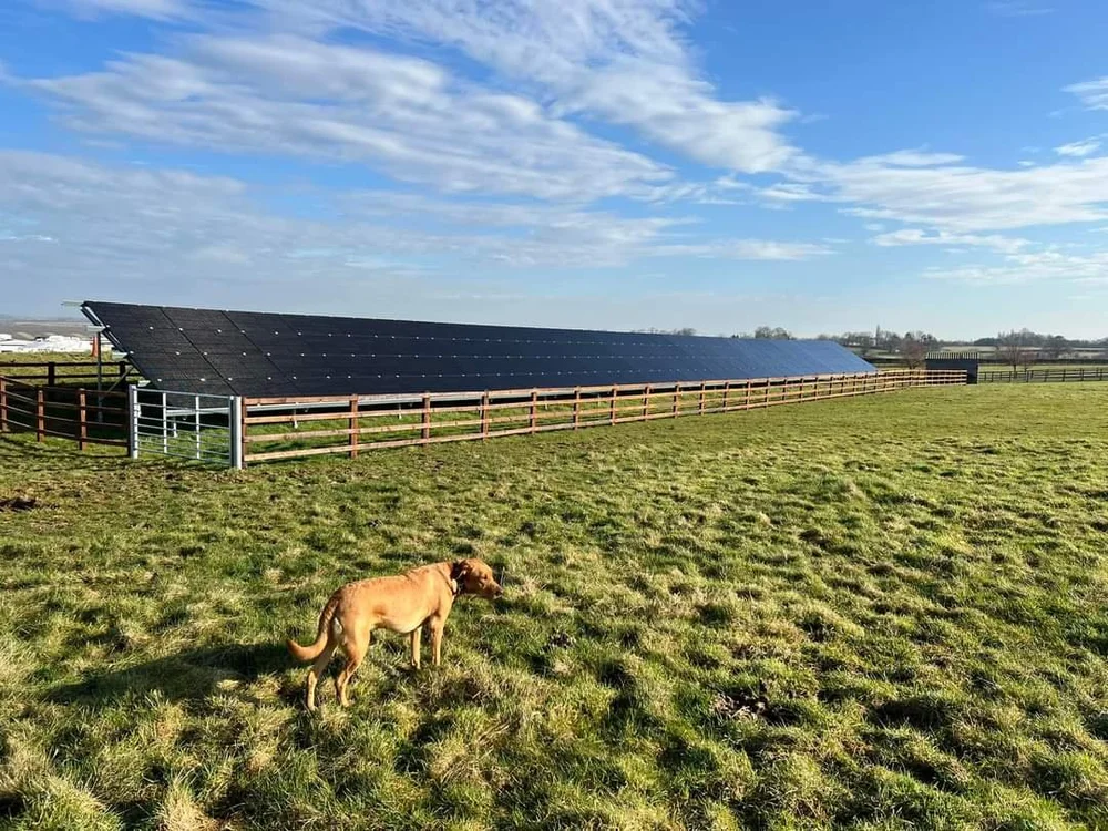 Empowering a Rural Farm with Sustainable Microgrid Solution — Energy Oasis