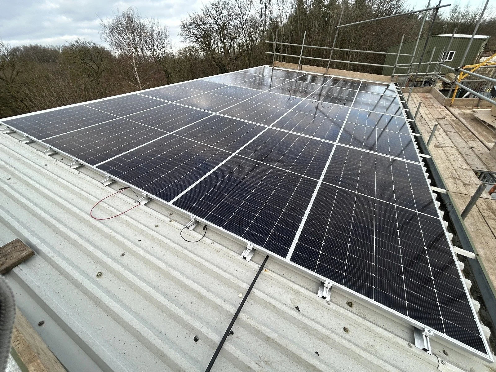 Case Studies | Explore Success Stories — Energy Oasis
