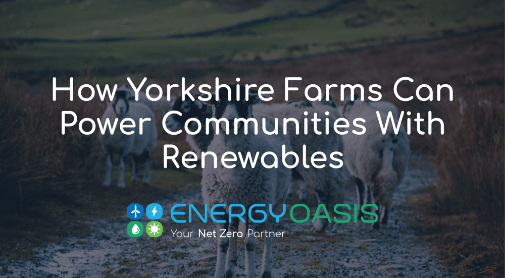 Blog — Energy Oasis