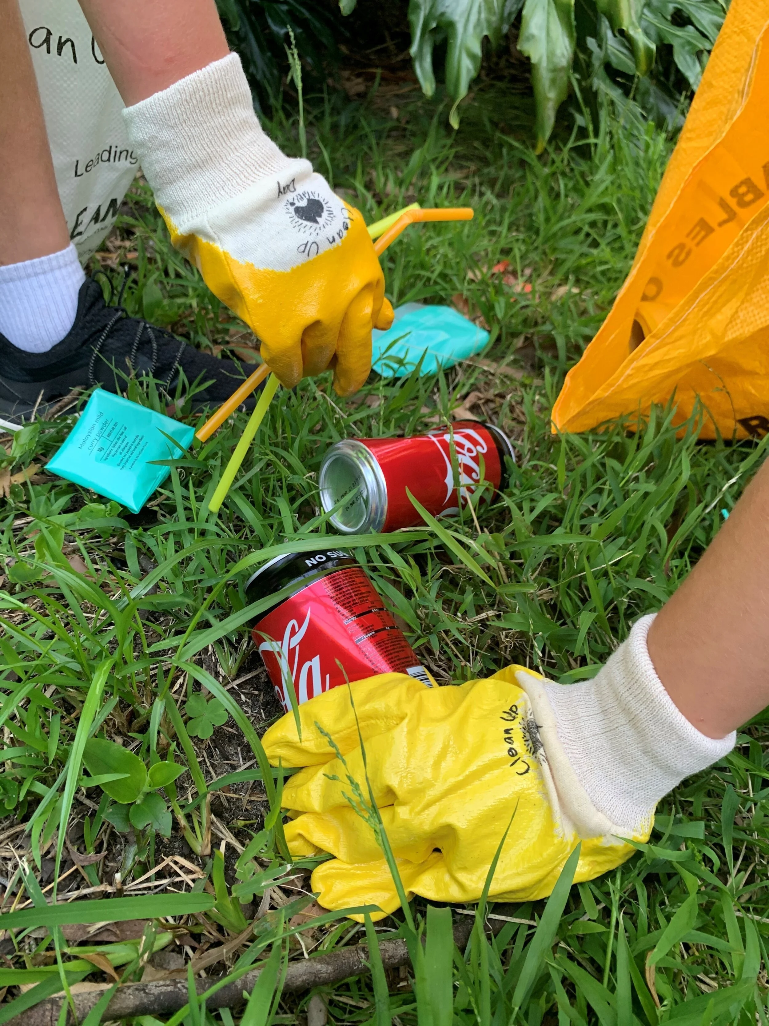 Clean Up Australia Day | dirtgirlworld | Family-Friendly Interactive ...