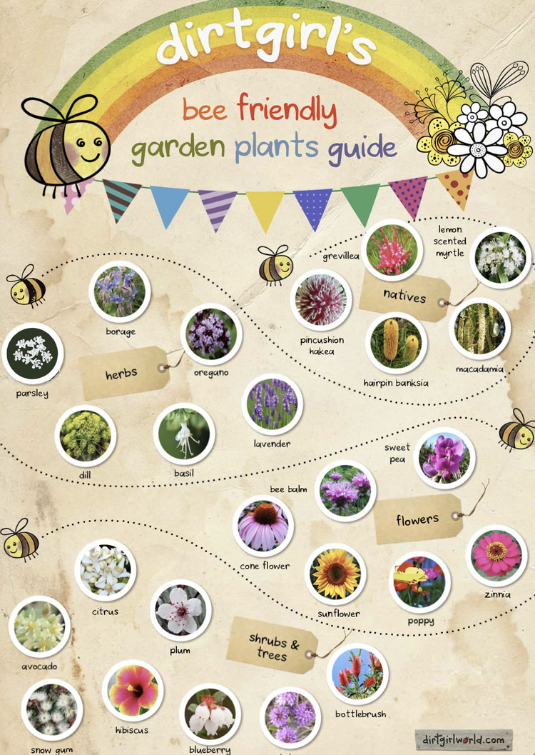 Free Bee Poster! | dirtgirlworld | Family-Friendly Interactive Space ...