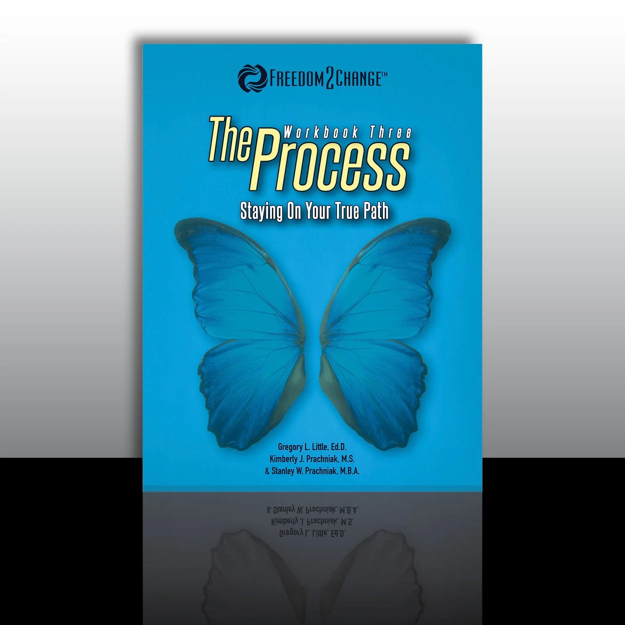 Dr. Gregory L. Little — Official Moral Reconation Therapy—MRT ...