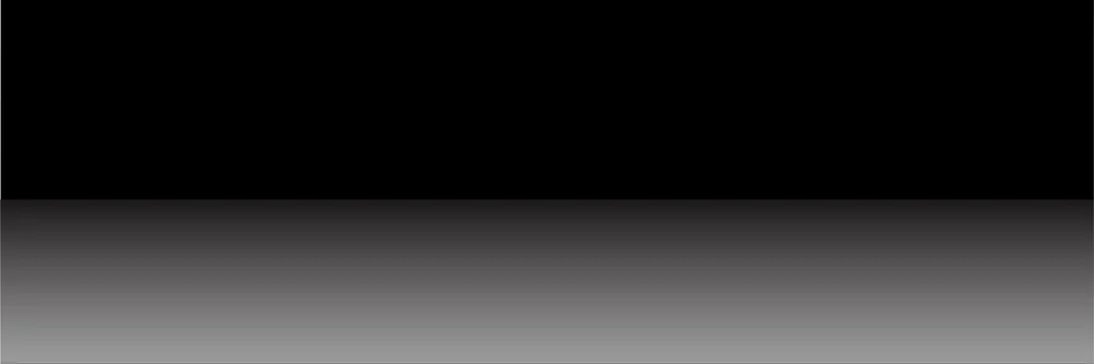 Local 300 — IUPAT DC5