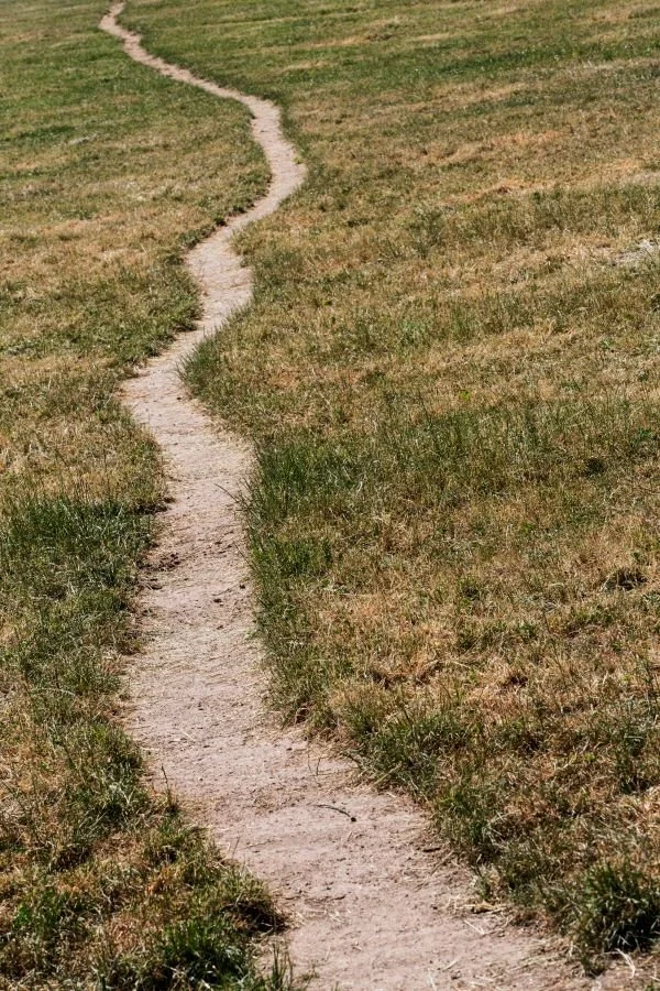 Thriving In BigLaw: A Compilation Episode — Portia Project™