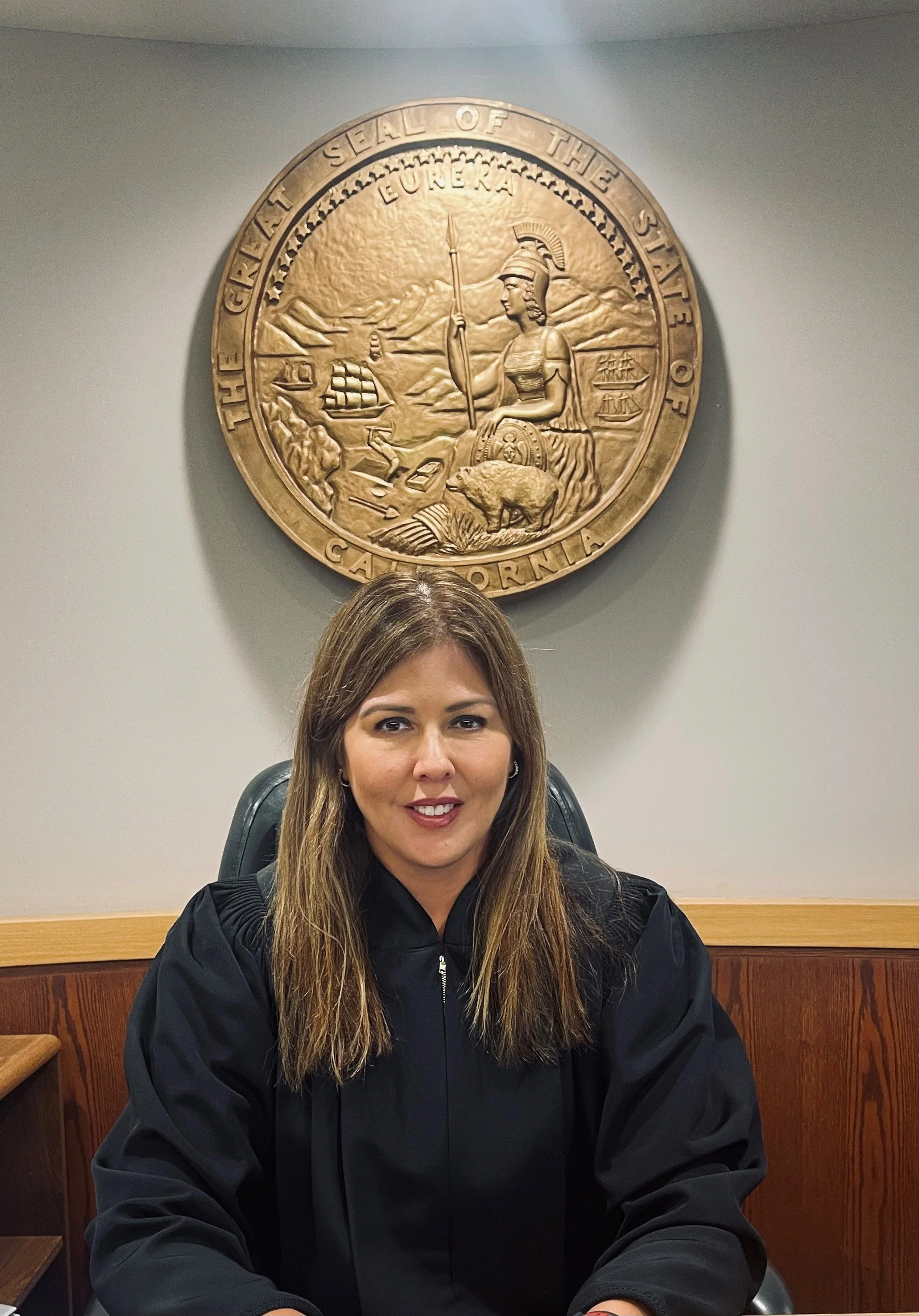 Episode 91: Yolanda V. Torres — Portia Project™