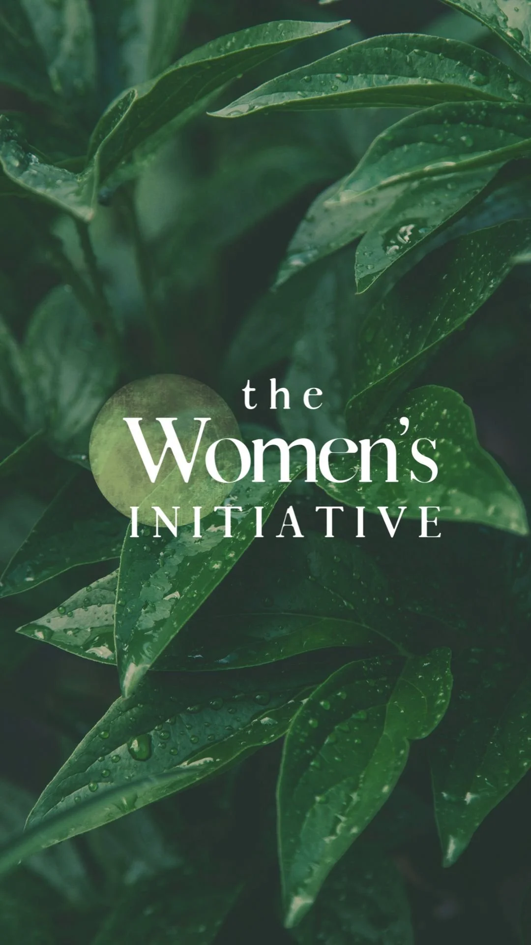 Women's Initiative - Branding & Squarespace Web Design | VVITCH Digital ...