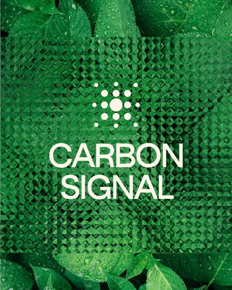 Carbon Signal - Brand Positioning & Logo Design | VVITCH Digital Agency