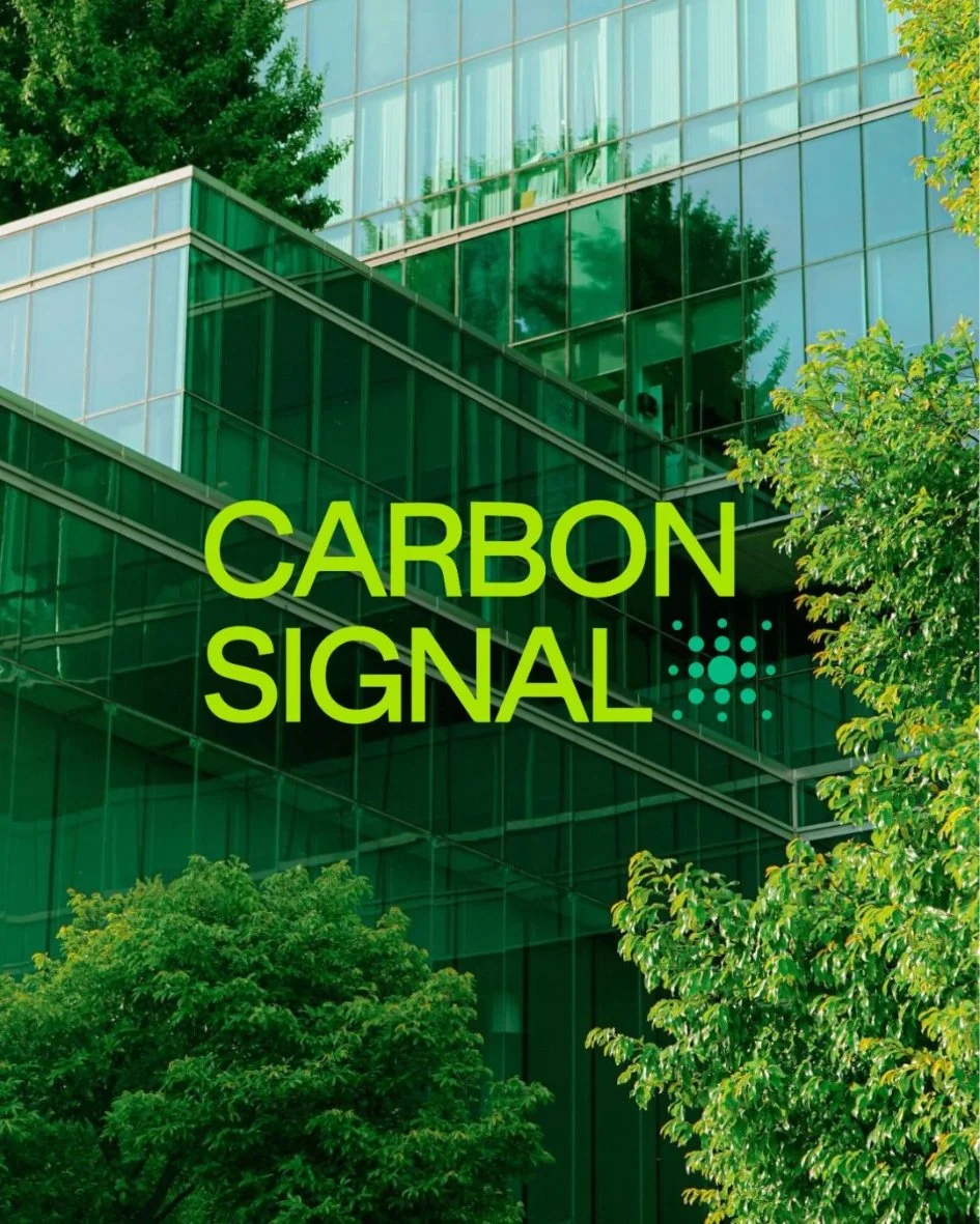 Carbon Signal - Brand Positioning & Logo Design | VVITCH Digital Agency