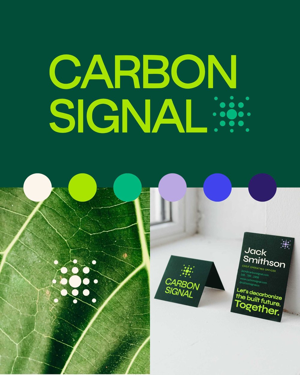 Carbon Signal - Brand Positioning & Logo Design | VVITCH Digital Agency