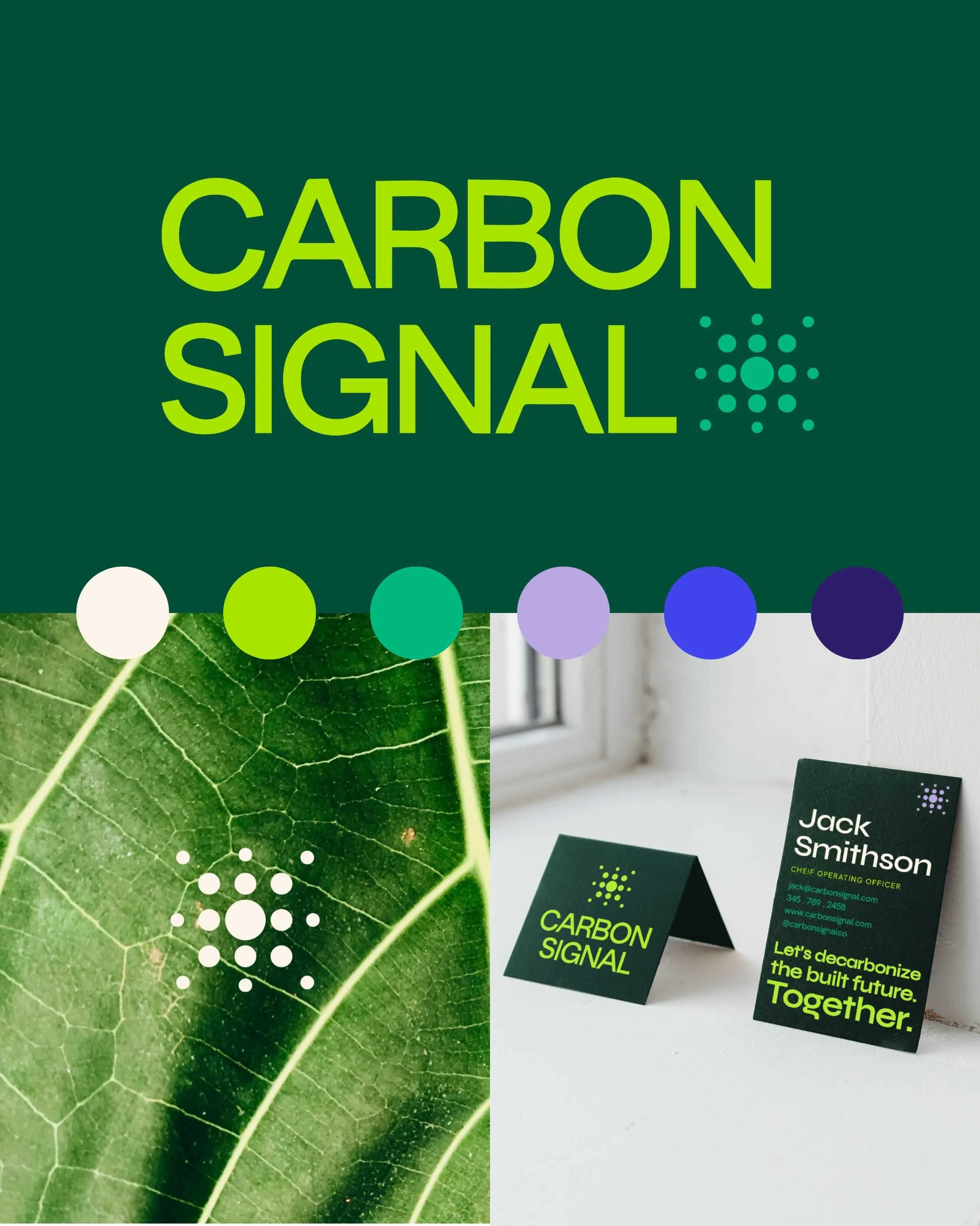 Carbon Signal - Brand Positioning & Logo Design | VVITCH Digital Agency