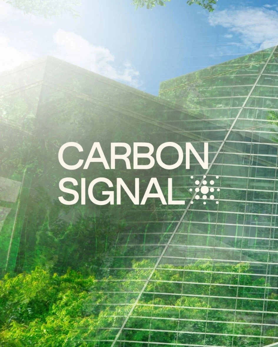Carbon Signal - Brand Positioning & Logo Design | VVITCH Digital Agency