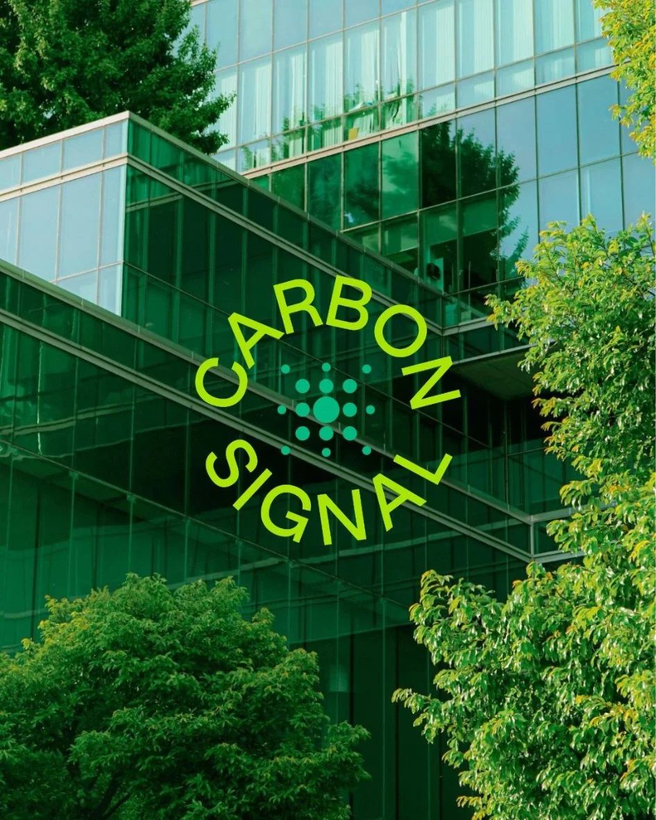 Carbon Signal - Brand Positioning & Logo Design | VVITCH Digital Agency