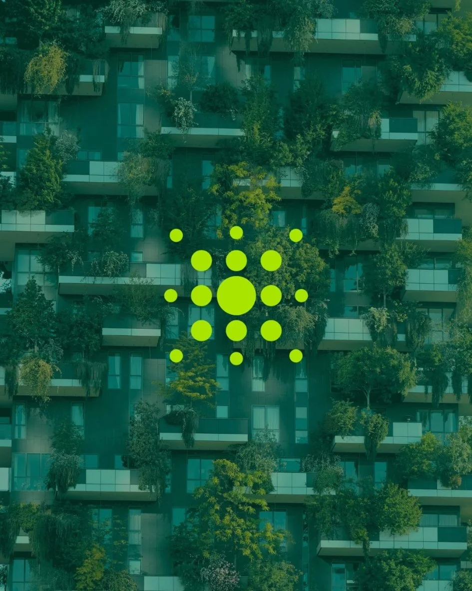 Carbon Signal - Brand Positioning & Logo Design | VVITCH Digital Agency