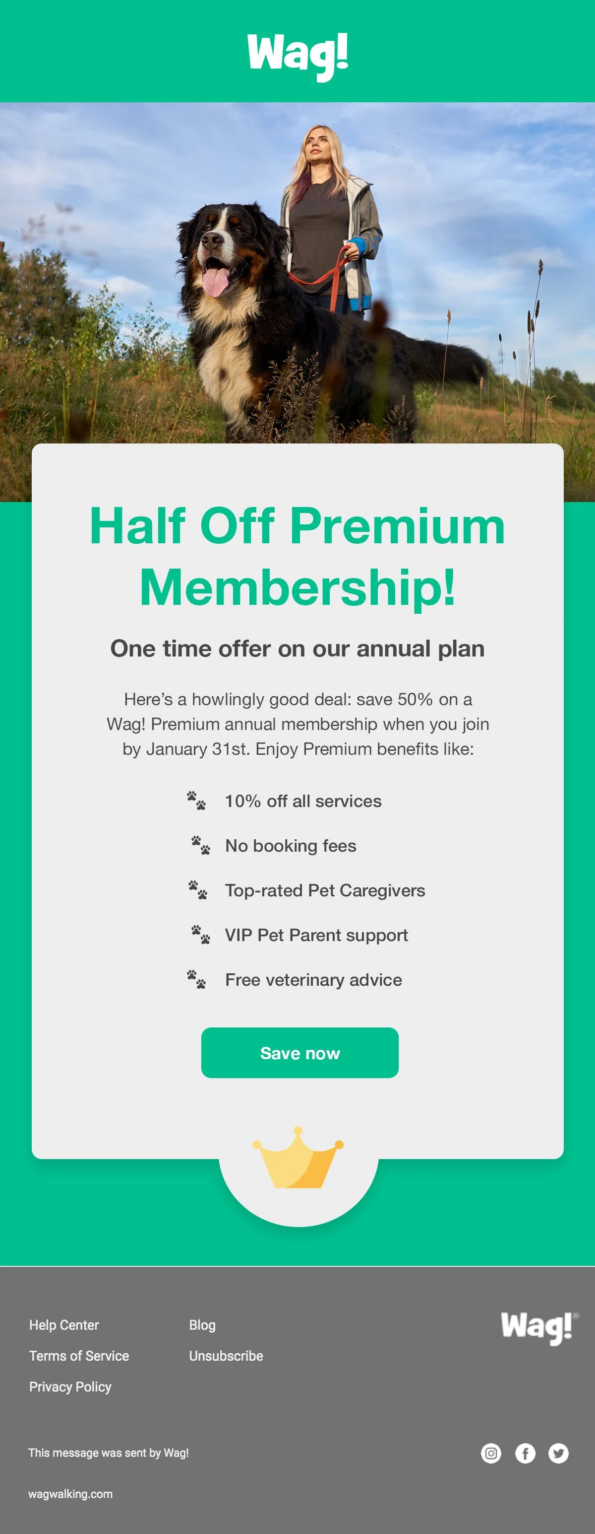 Wag! - Email Design — H Co Creative
