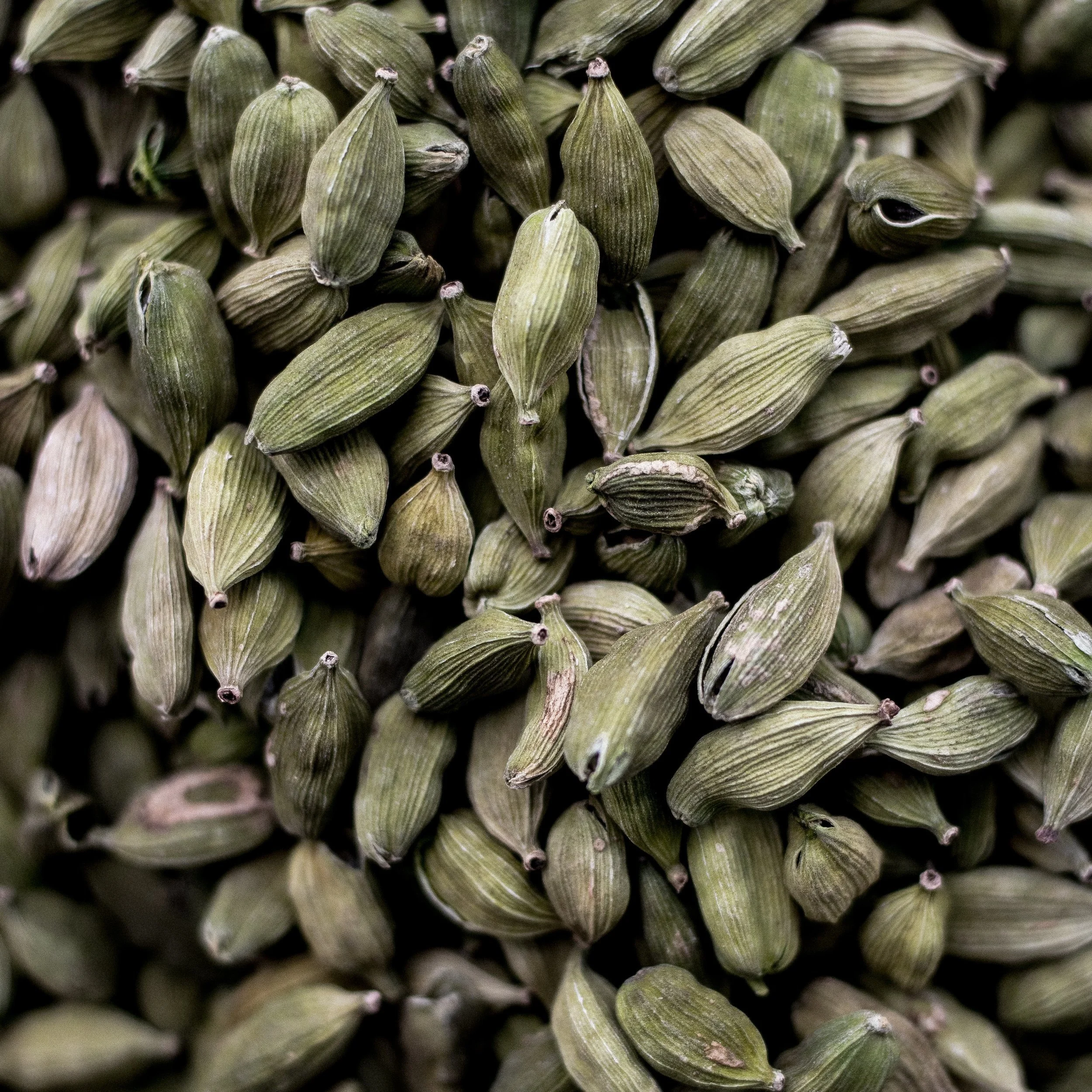 Understanding Healing Spices: A Beginner's Guidebook with Dr. Kanchan Koya