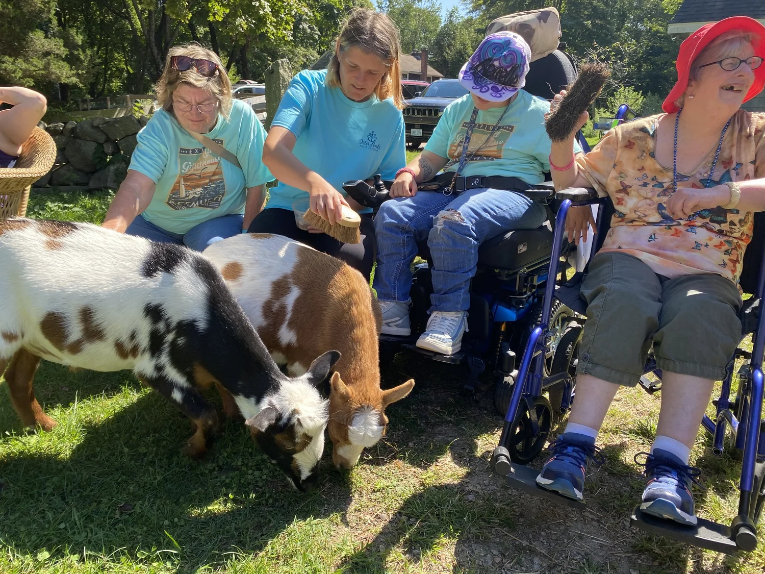 The Gentle Farm Wakefield, RI