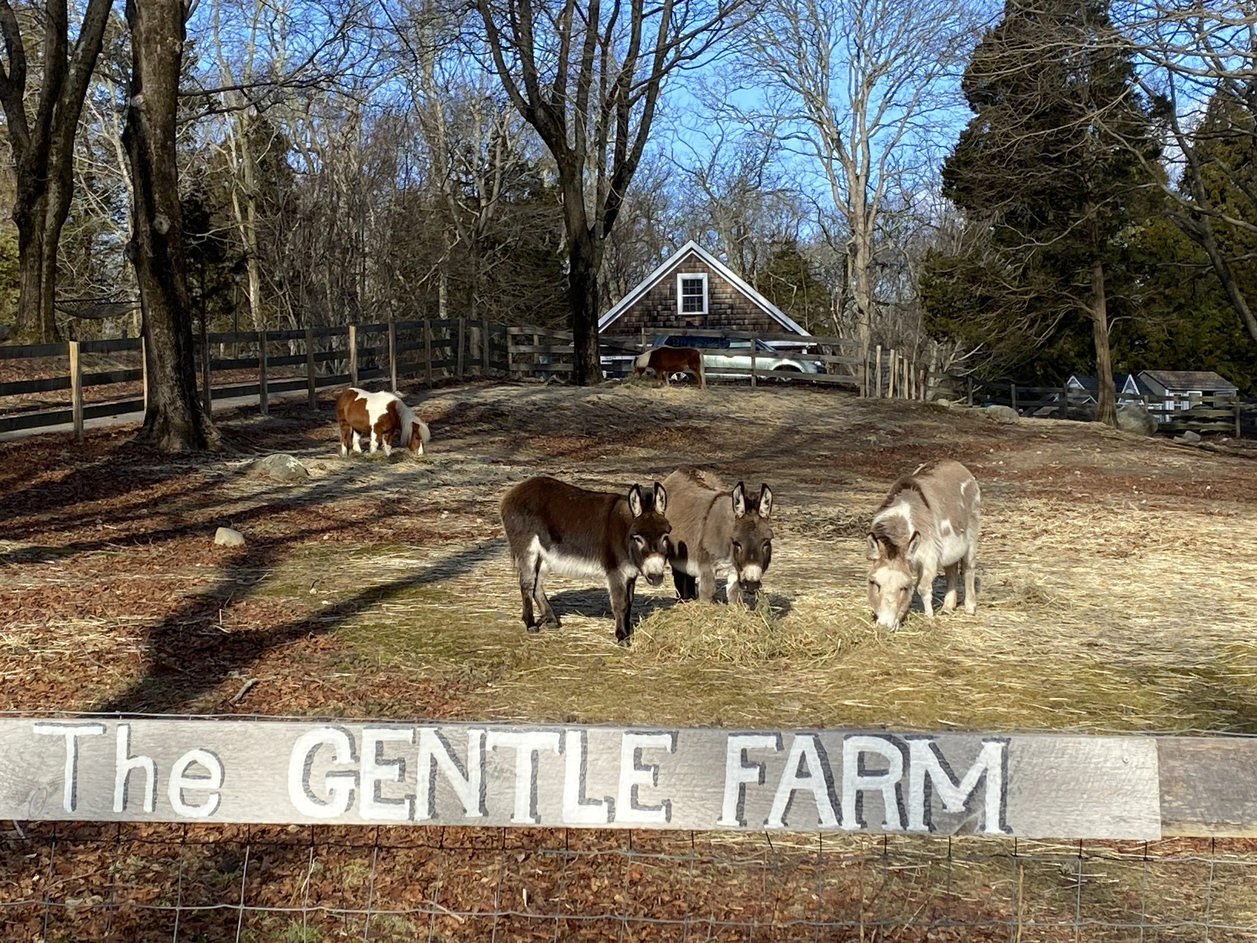 The Gentle Farm Wakefield, RI
