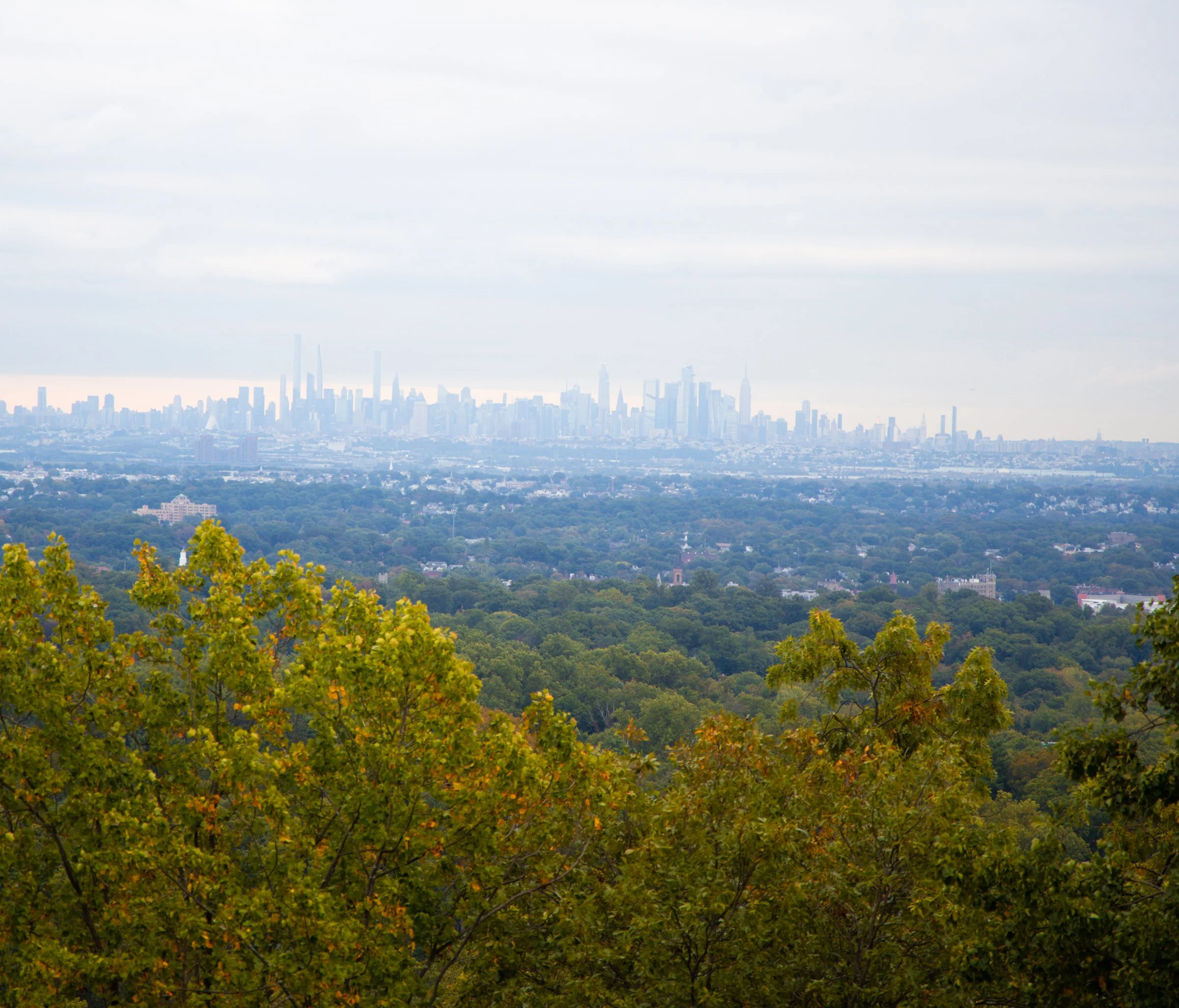 About — The Highlawn