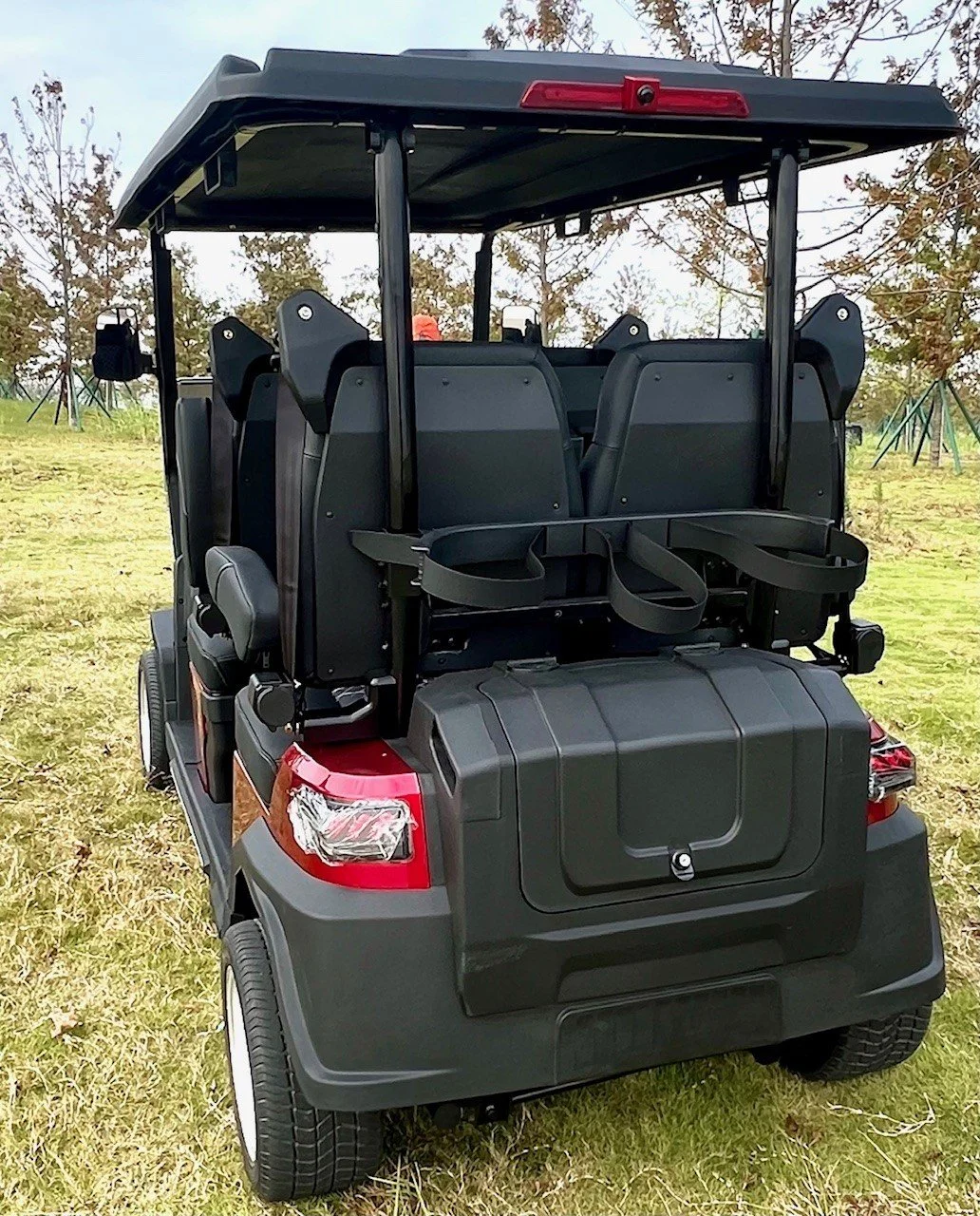 aceg4 — Gold Coast Golf Carts