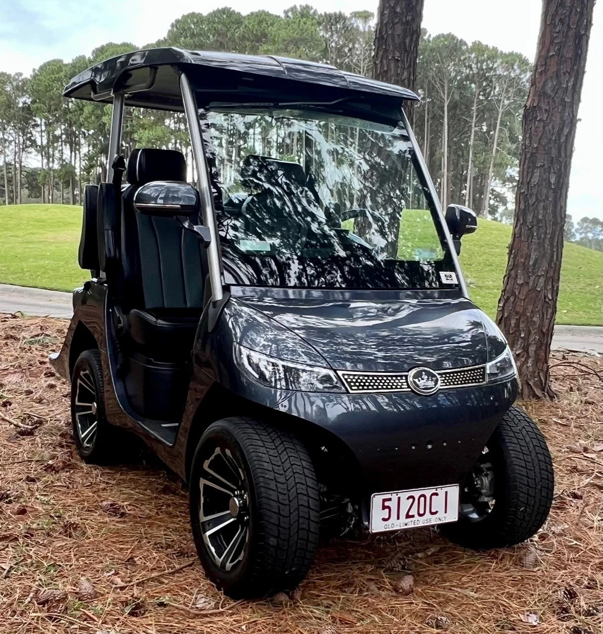 Gold Coast Golf Carts