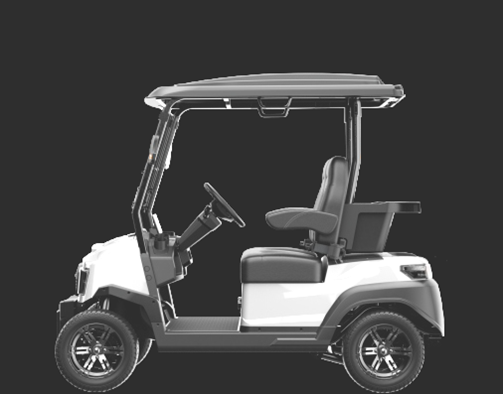 aceg2 — Gold Coast Golf Carts