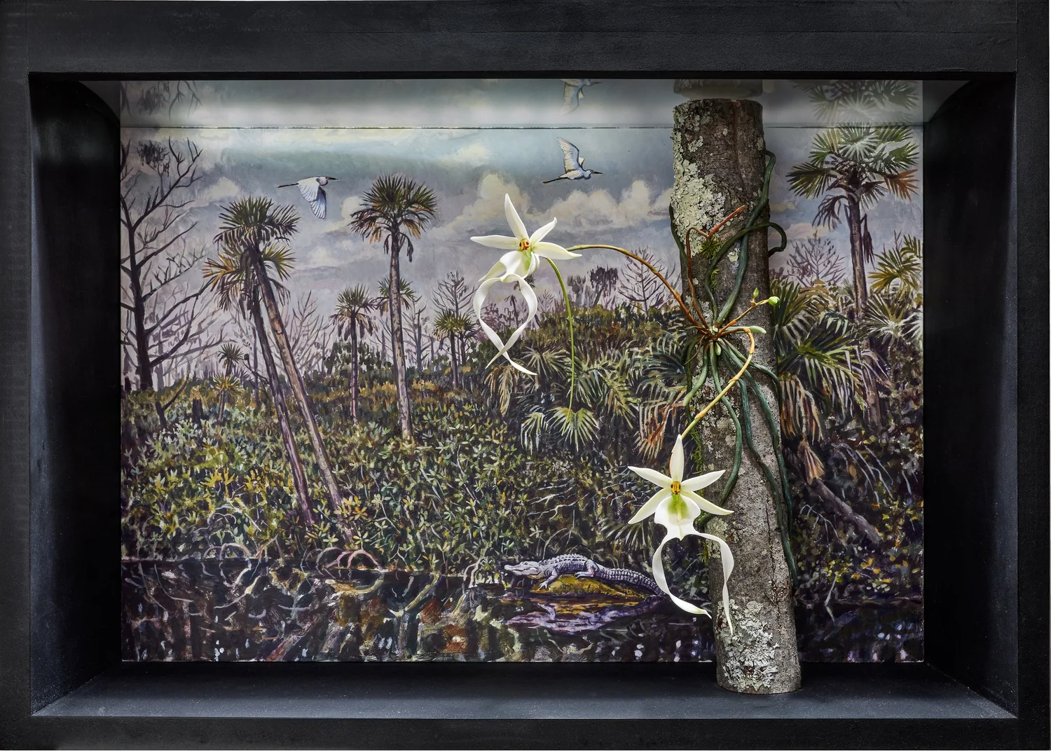 Lowe Art Museum — James Prosek