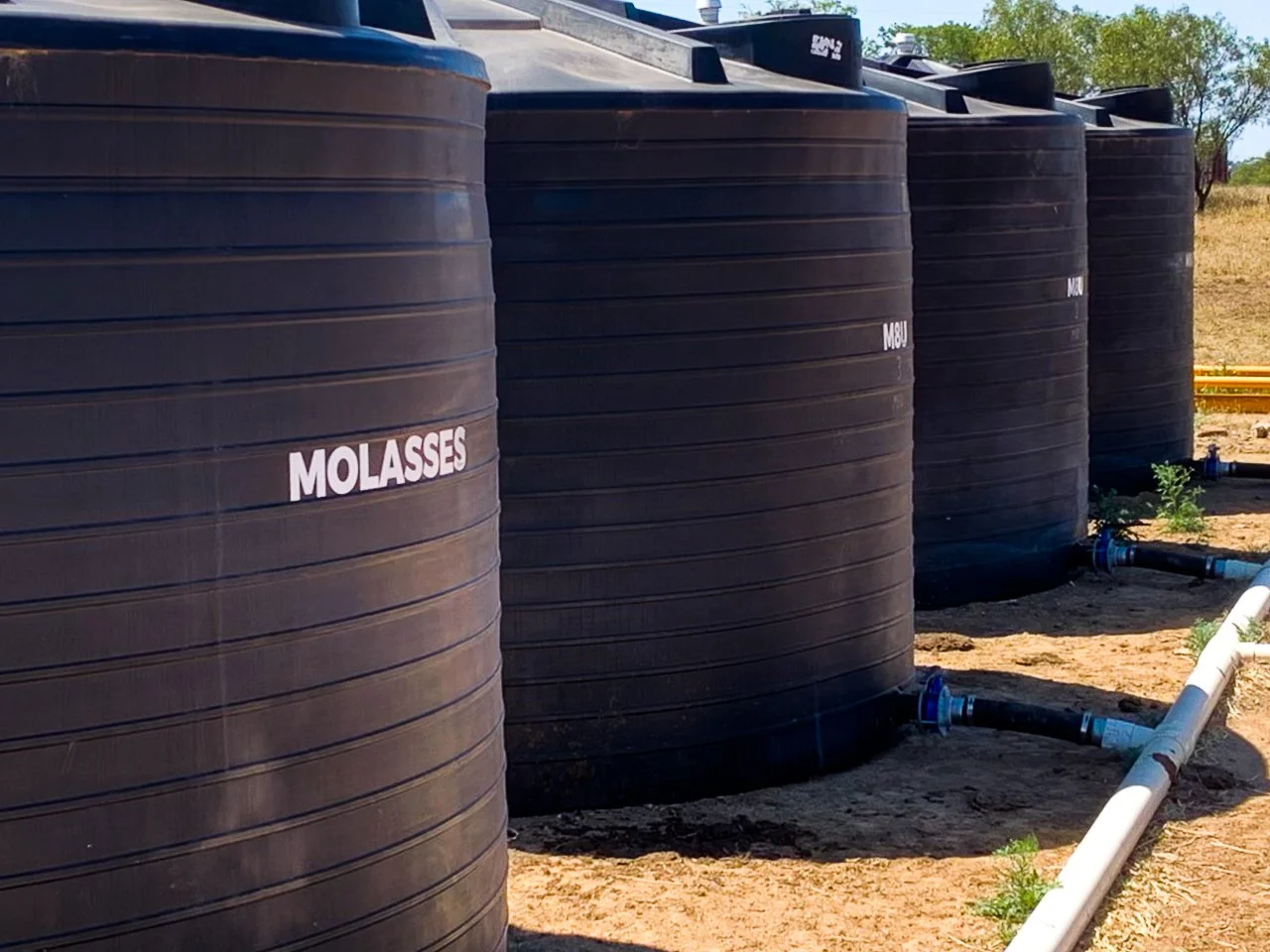 Molasses — Pumps and More | Insights on Molasses Pumping and Systems ...