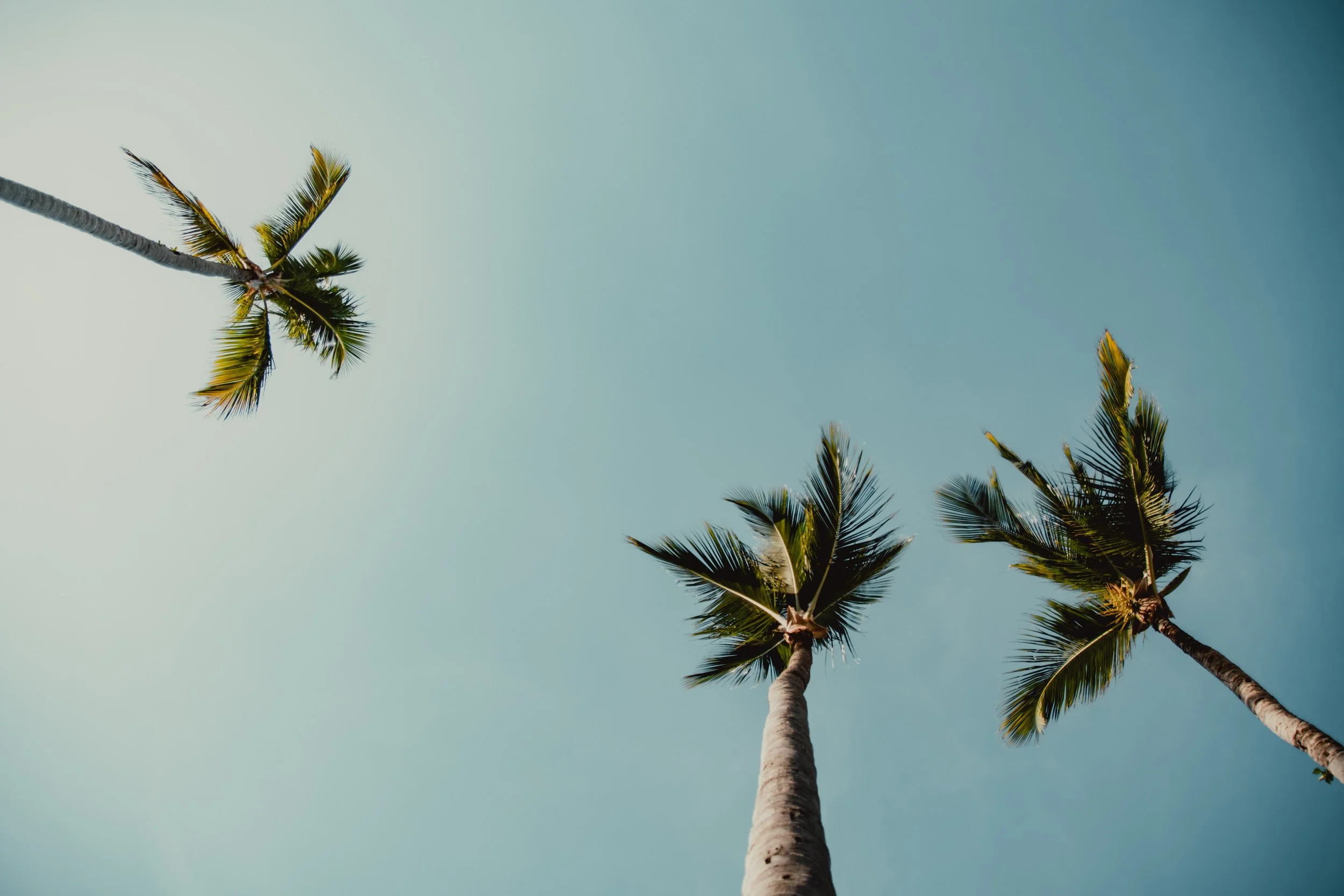 Summa House - Welcome