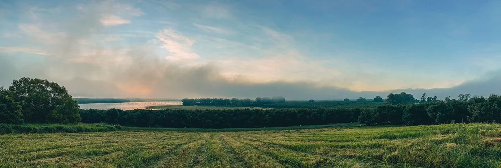Contact Us — Lakeshore Farms