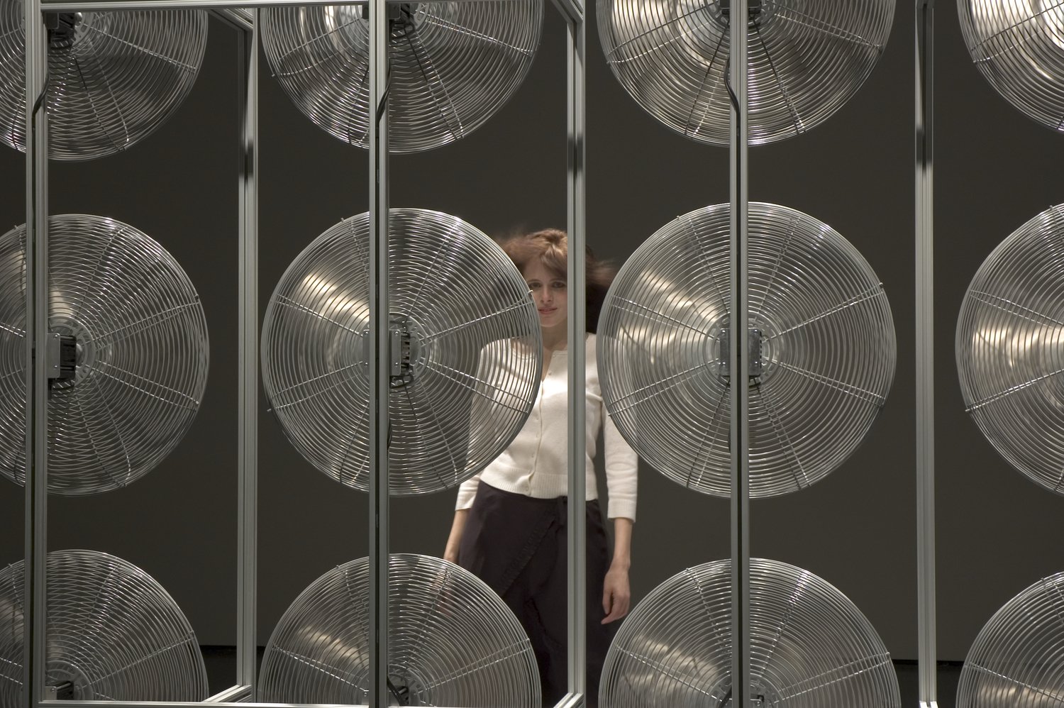 Immersive and Digital Art — Scott Snibbe - Interactive Art