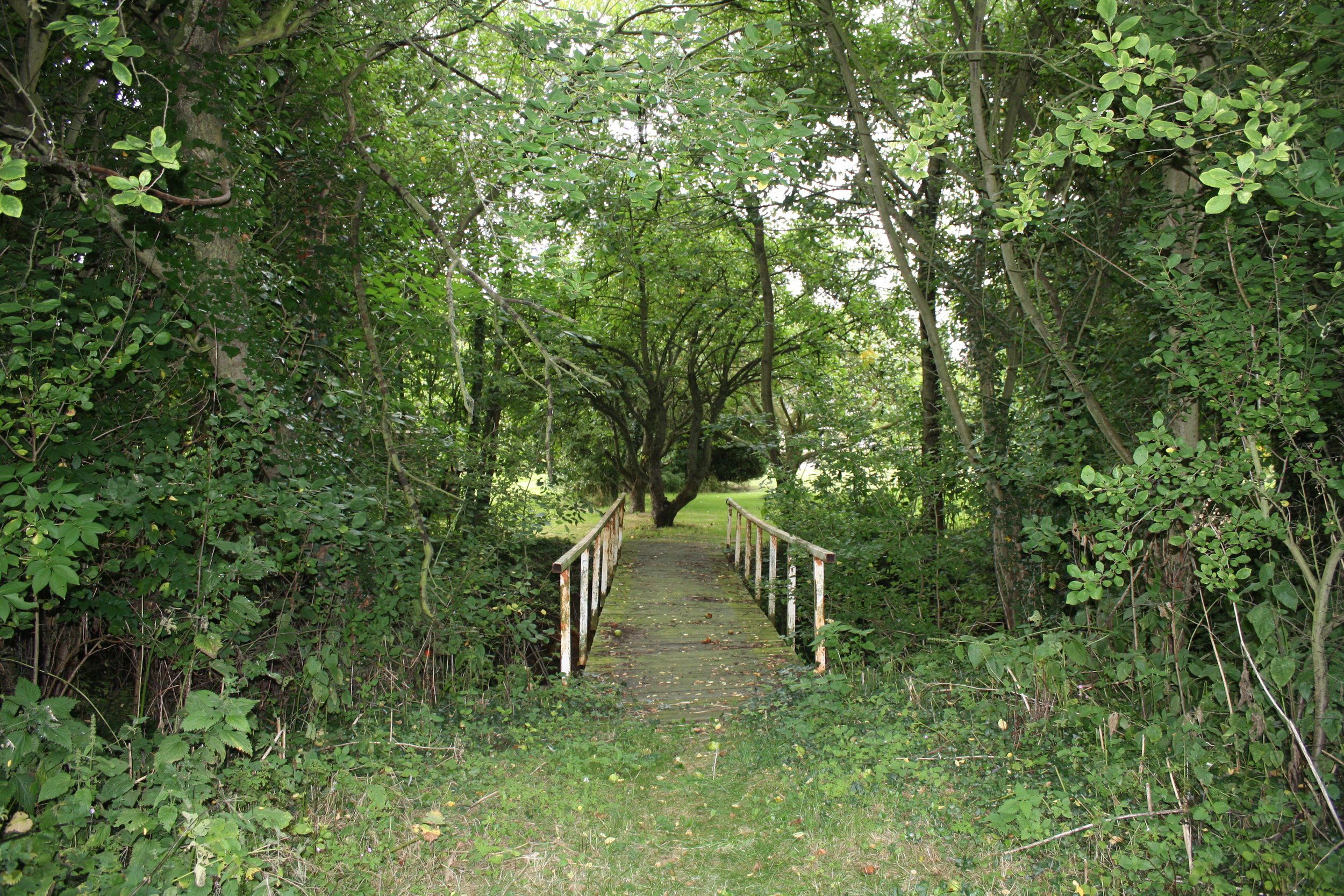 Shuichuan Legacy — Shuichuan Zi Ran Qigong