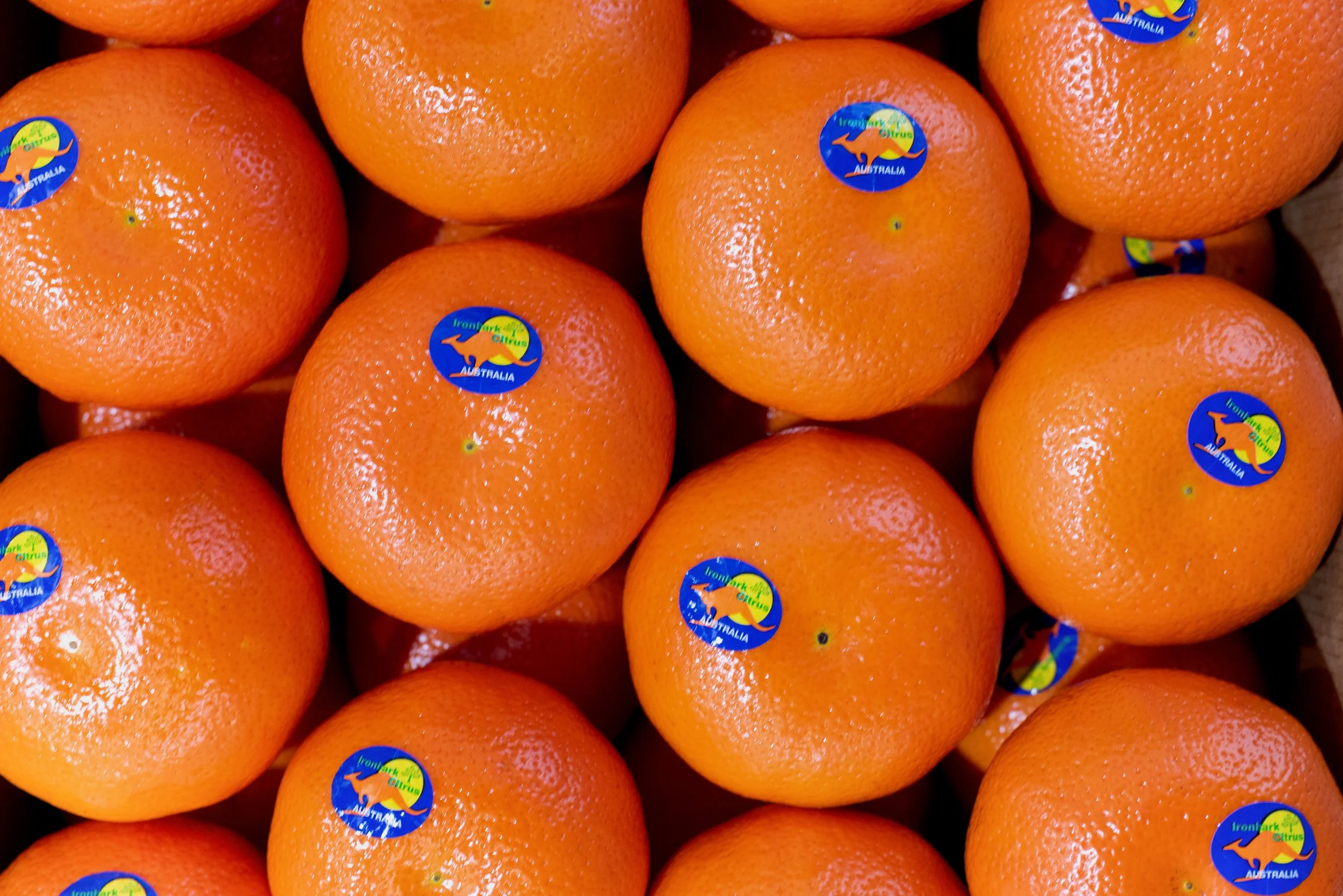 Premium Australian Mandarins | Ironbark Citrus | Mundubbera, Queensland ...