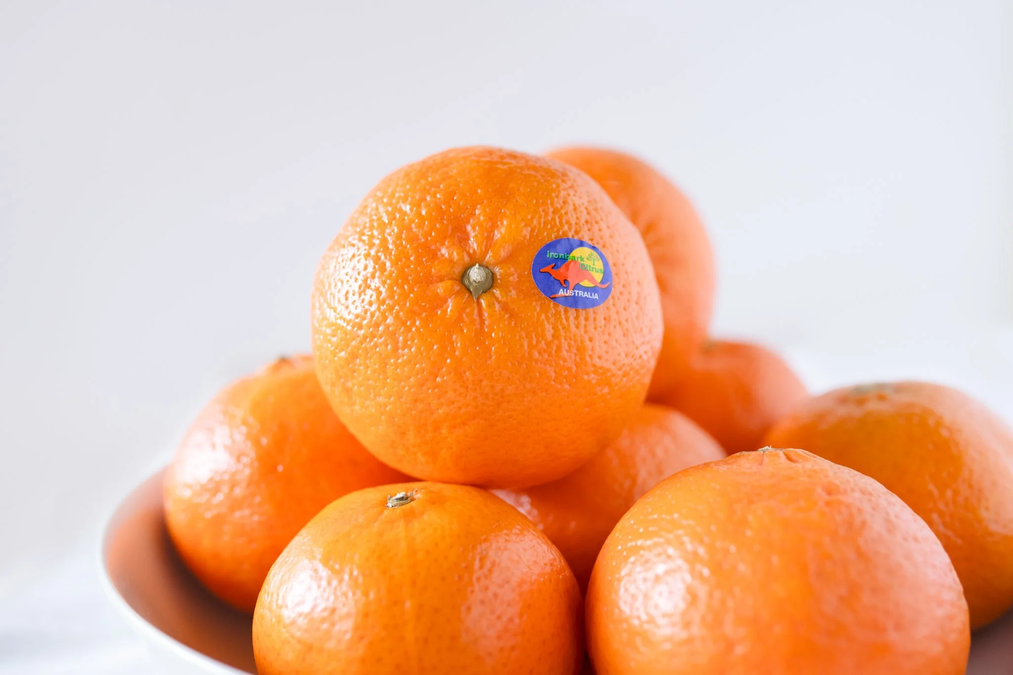Mandarins — Ironbark Citrus