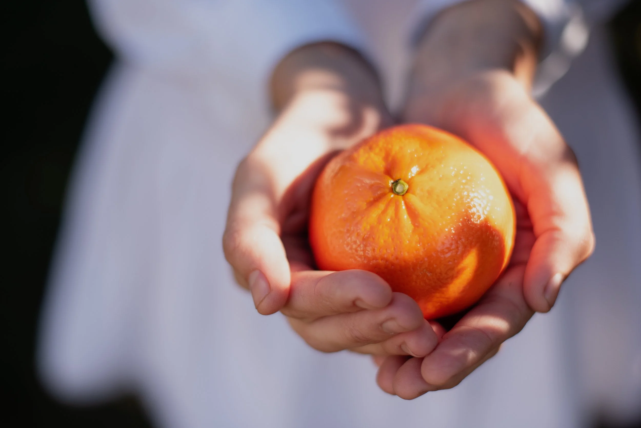 Premium Australian Mandarins | Ironbark Citrus | Mundubbera, Queensland ...