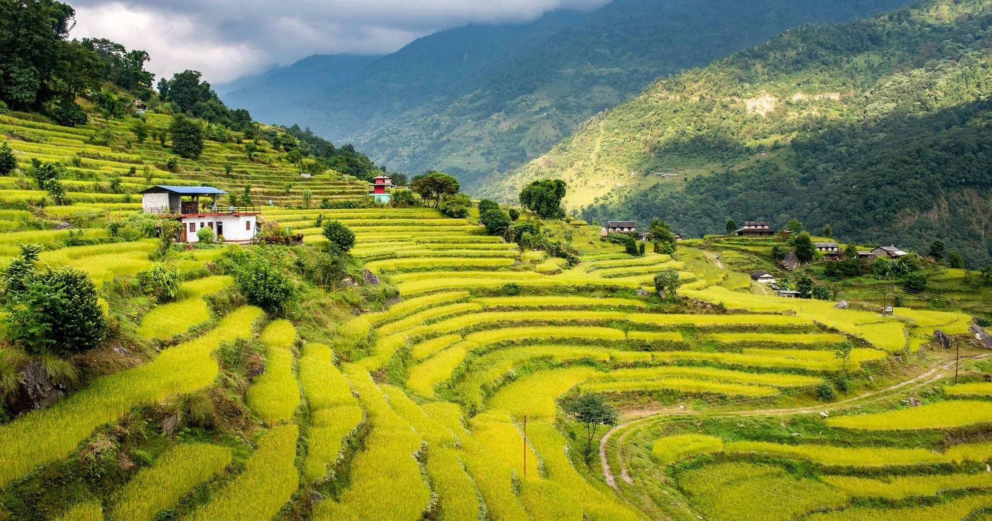 Environment — Biocomp Nepal