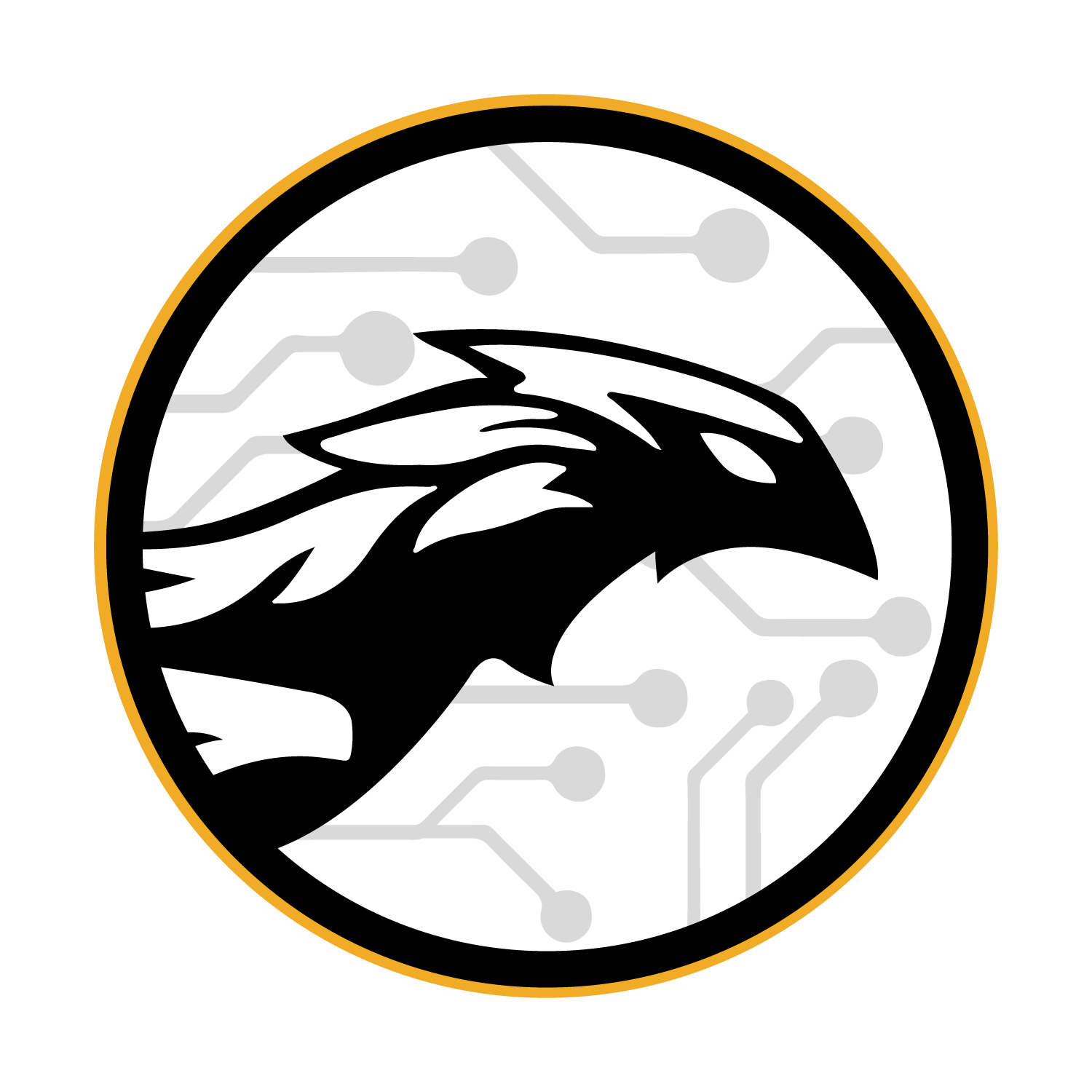 Chimera Integrations, LLC