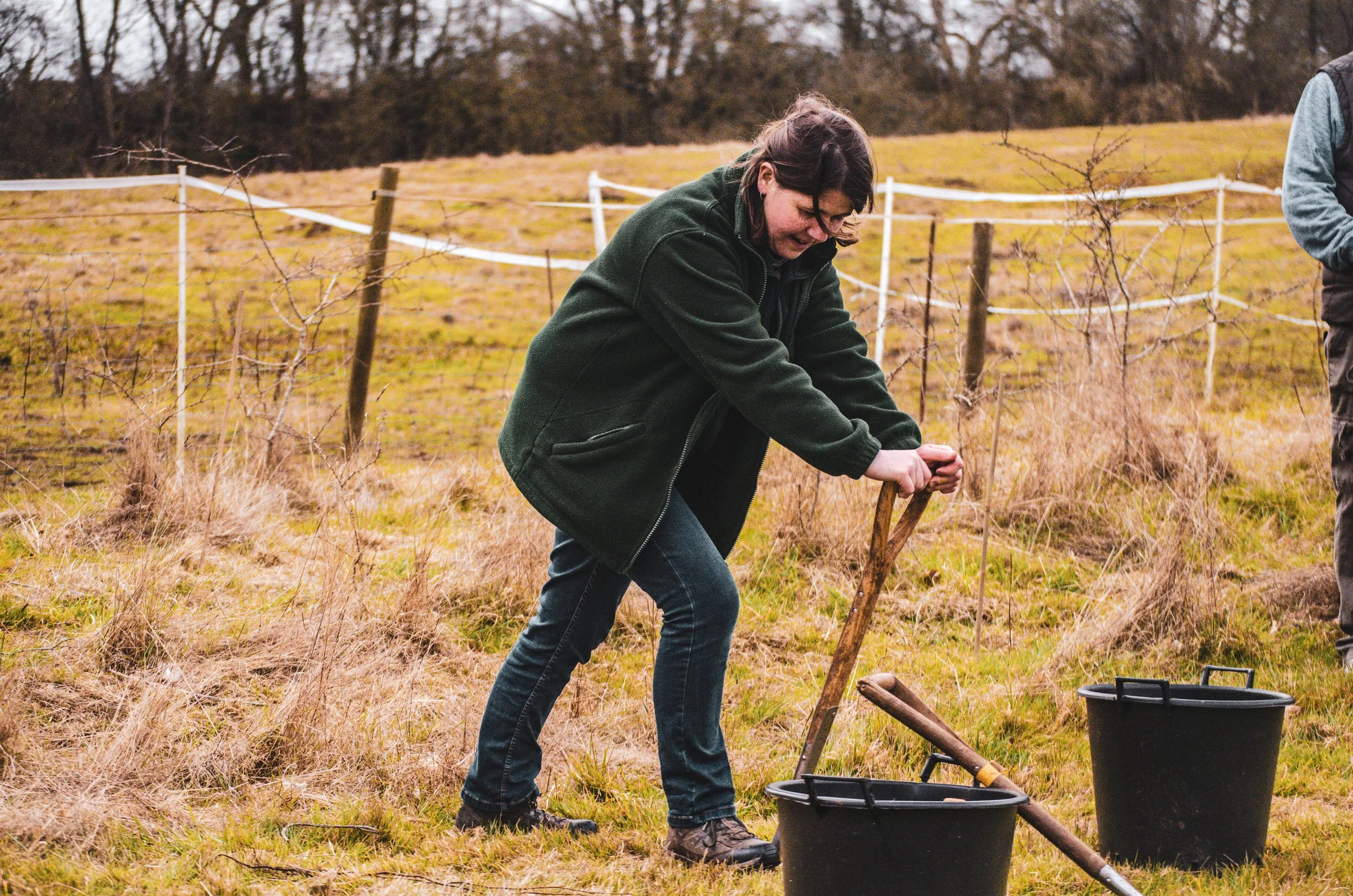 Rewilding in Northamptonshire — International Tree Foundation