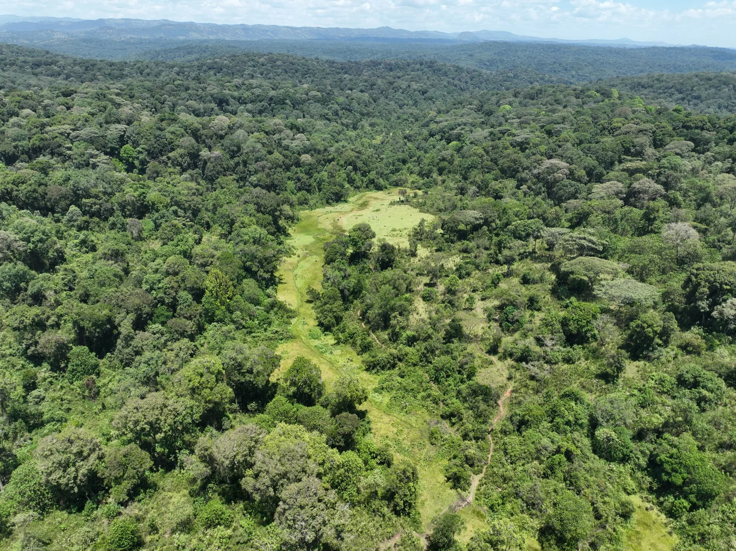 Restoration and recovery in the forests of West Pokot — International ...