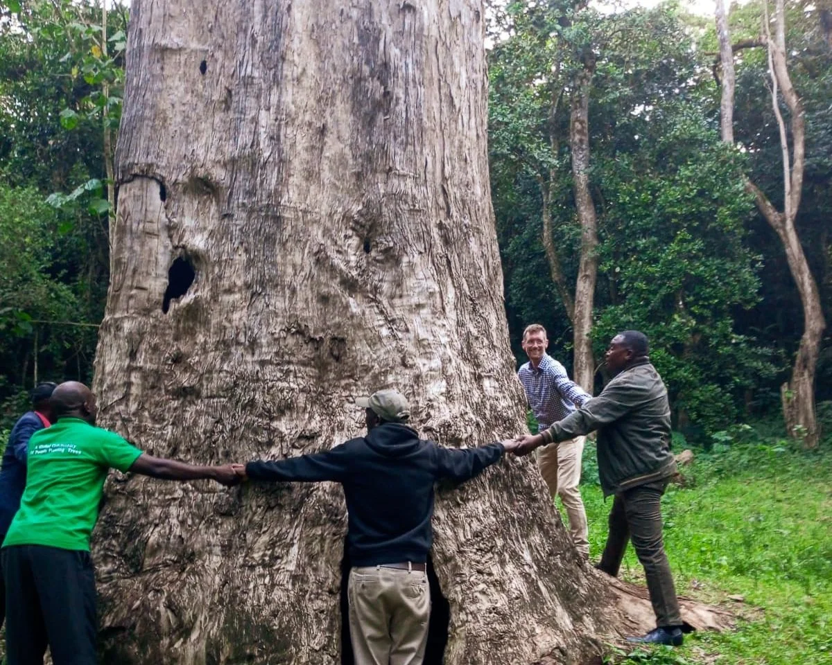 Our strategy — International Tree Foundation