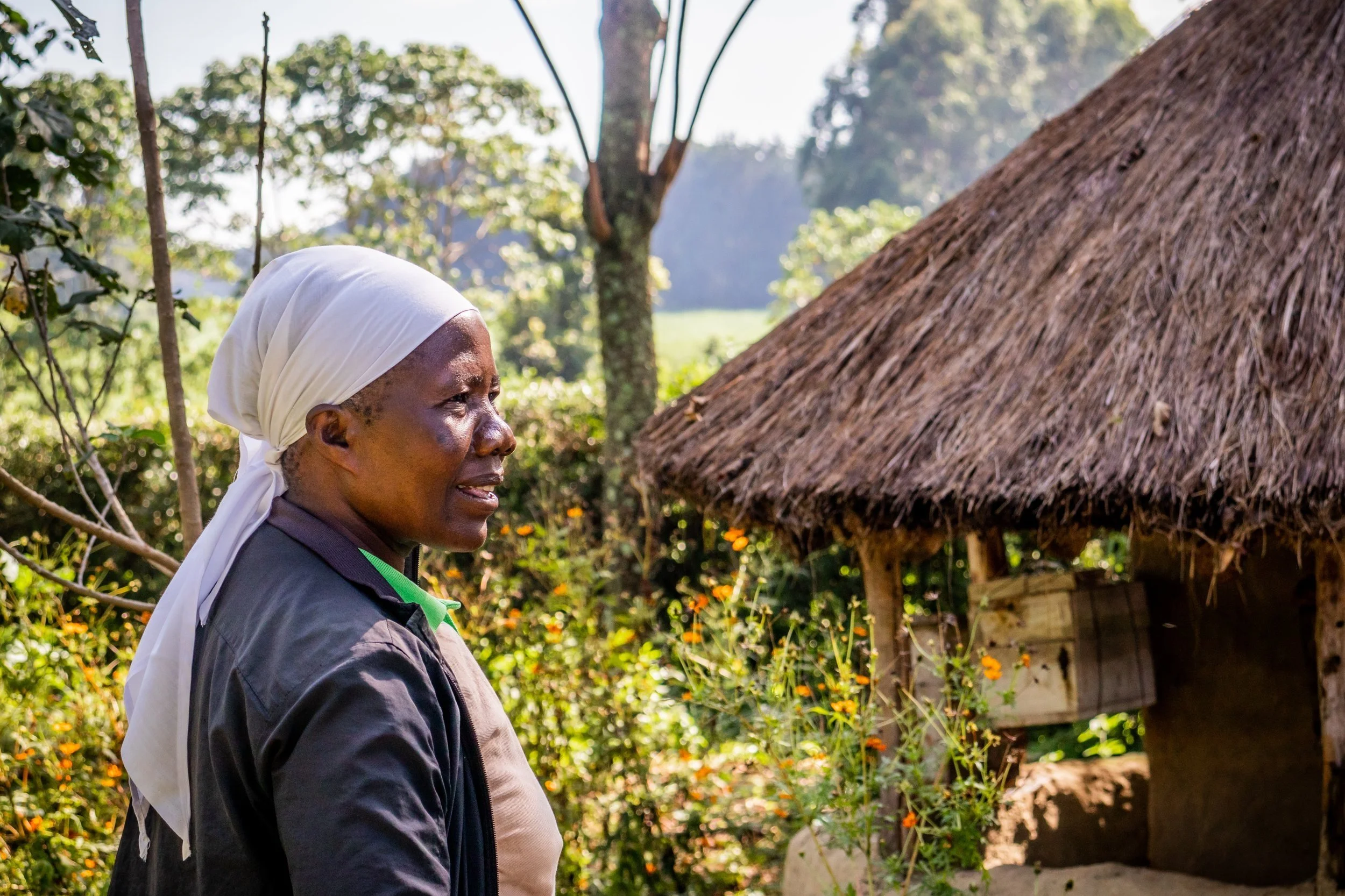 How women are leading the restoration of Kakamega Rainforest ...