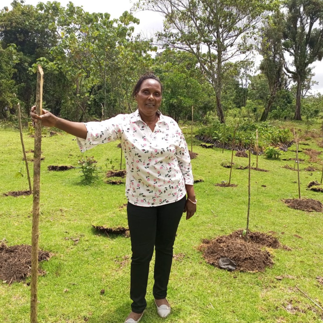 Tree heroes: Dorothy Naitore — International Tree Foundation