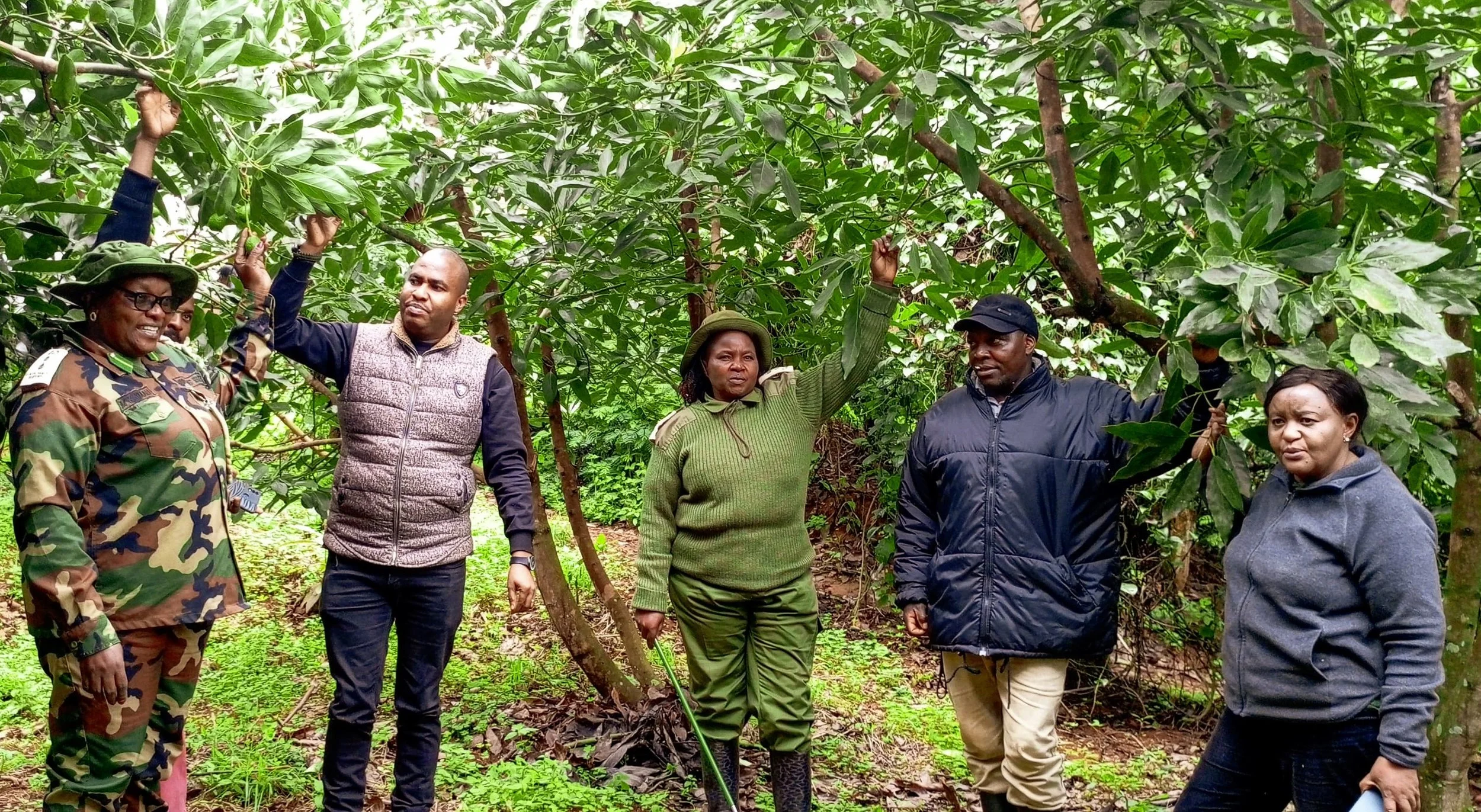 A journey into the Mount Kenya Forest — International Tree Foundation