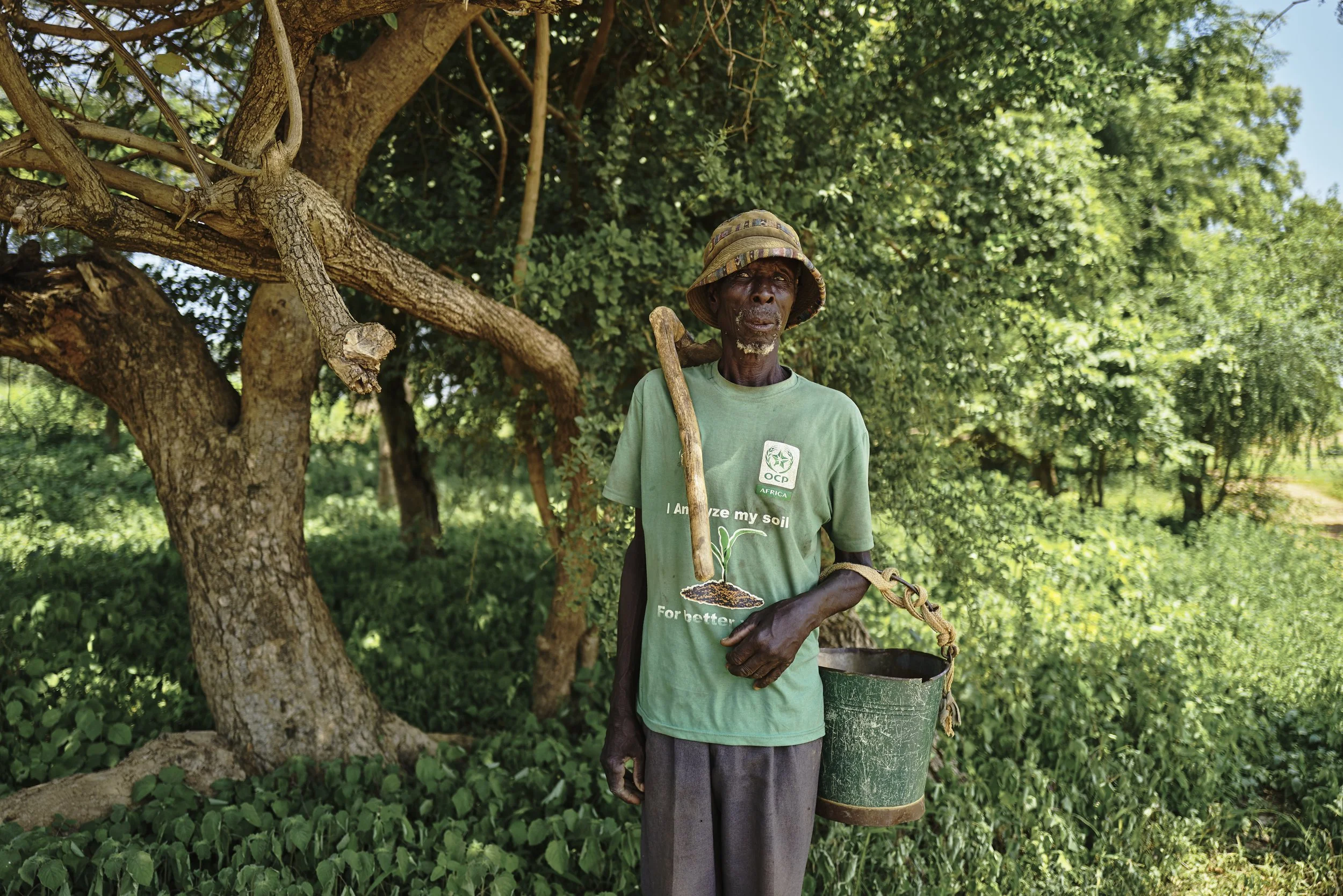 Donate — International Tree Foundation