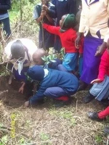 First Trees Planted at Kenya Launch of 20 Million Trees Campaign ...
